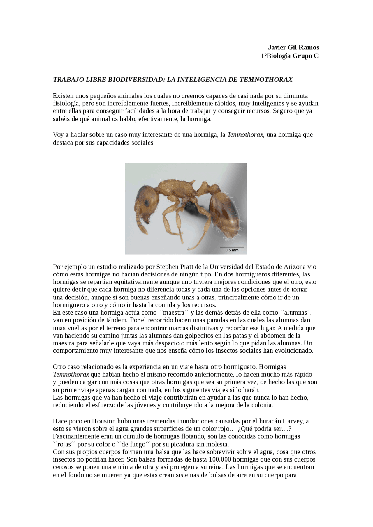 Inteligencia social de hormigas Temnothorax: aprendizaje y cooperación ...