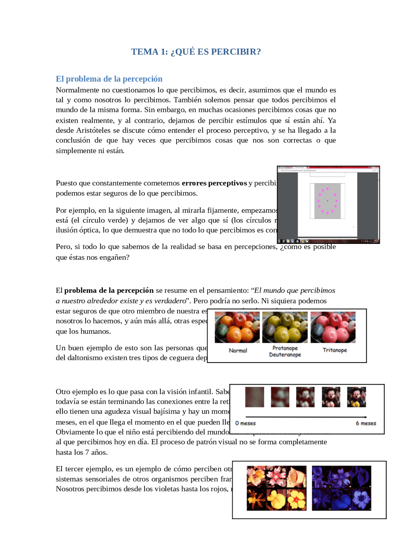 ¿QUÉ ES PERCIBIR? El problema de la percepción - Ejercicios de ...