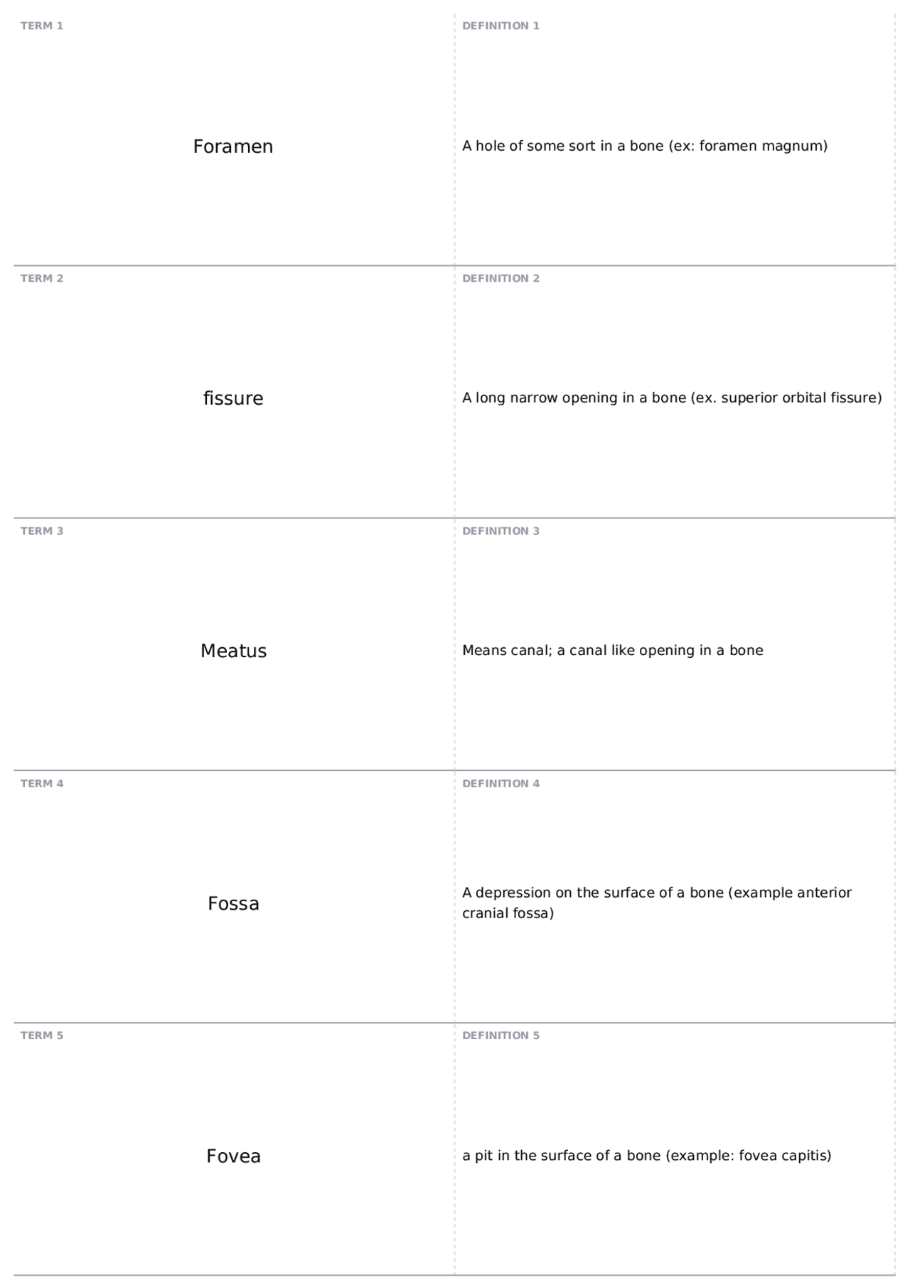 Bone structure | ZOO 3713 - Comparative Vertebrate Anatomy - Docsity