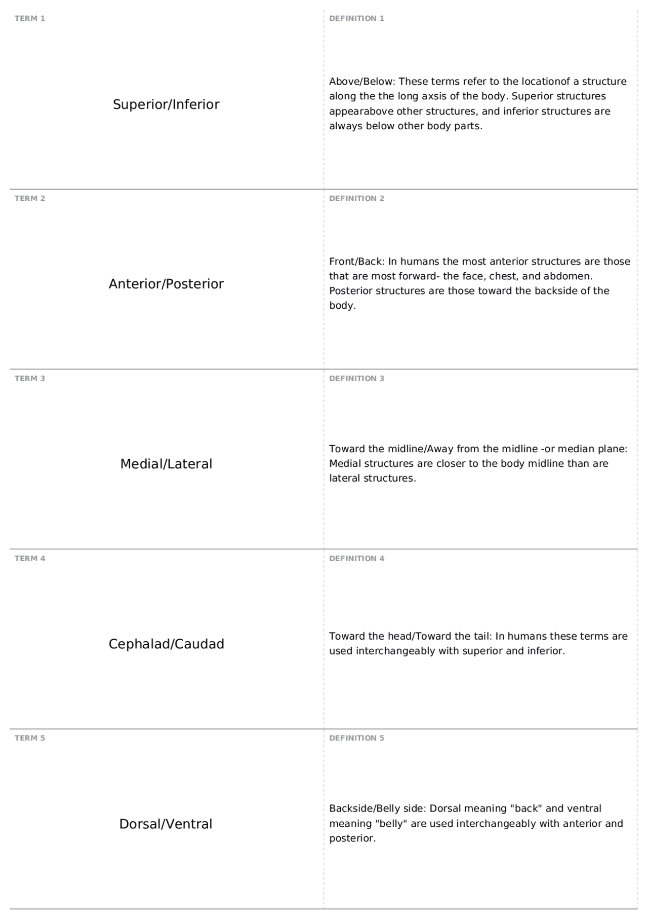 Anatomy Terms: Superior, Inferior, Anterior, Posterior, Medial, Lateral ...