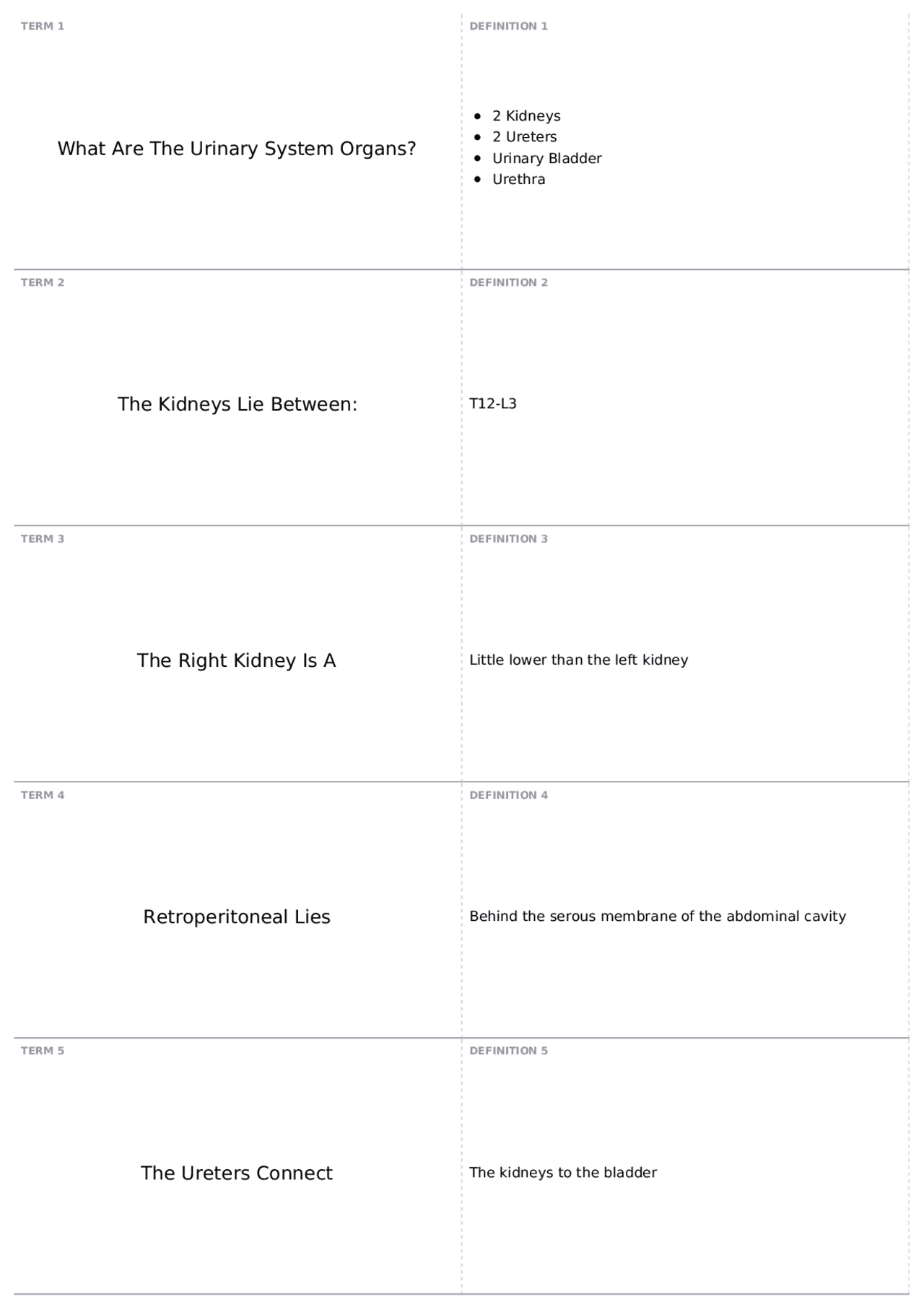 Urinary System Worksheet | KIN 2500 - HUMAN ANATOMY - Docsity