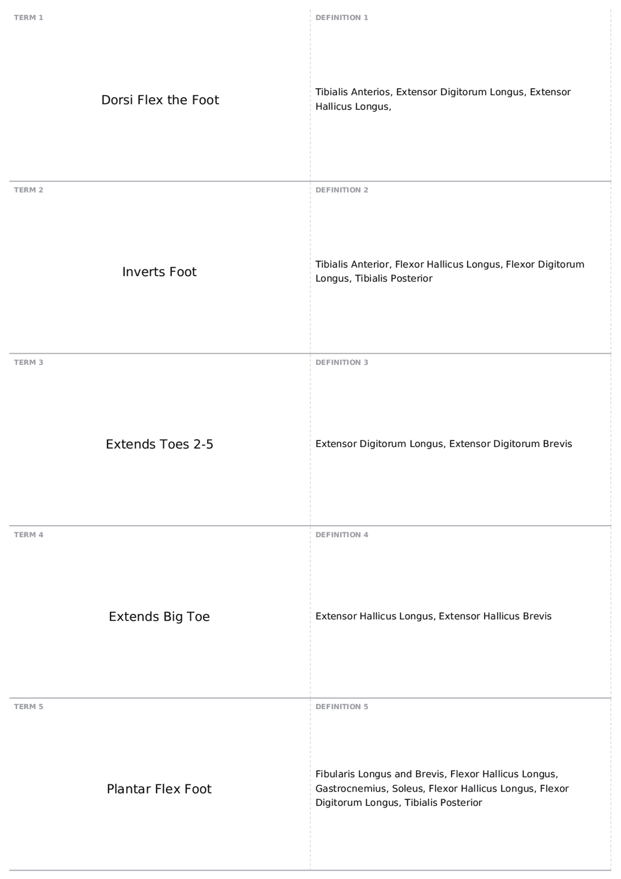 Lower Limb Leg Muscles | ANAT-A 215 - BASIC HUMAN ANATOMY - Docsity
