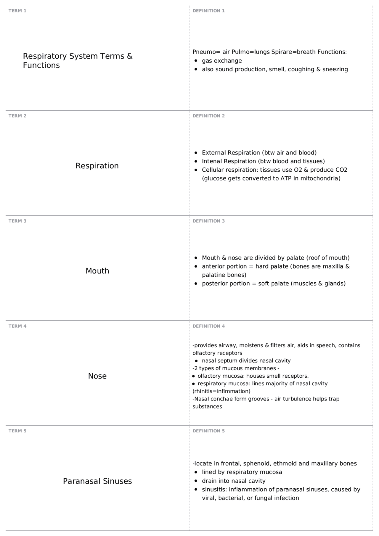 Anatomy and Functions of the Respiratory System: Terms, Regions, and ...