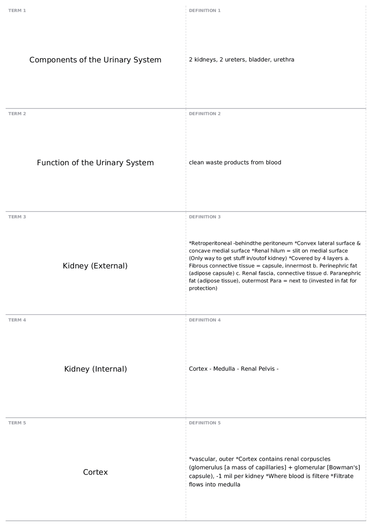 Urinary System 1 | ANAT-A 215 - BASIC HUMAN ANATOMY - Docsity