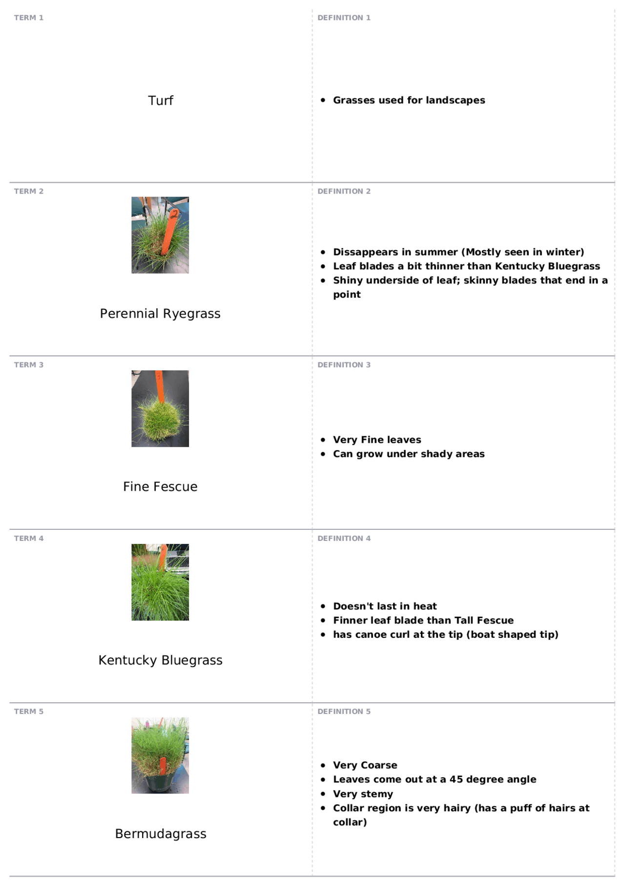 Turf Grasses and Weeds: Types, Definitions, and Characteristics ...