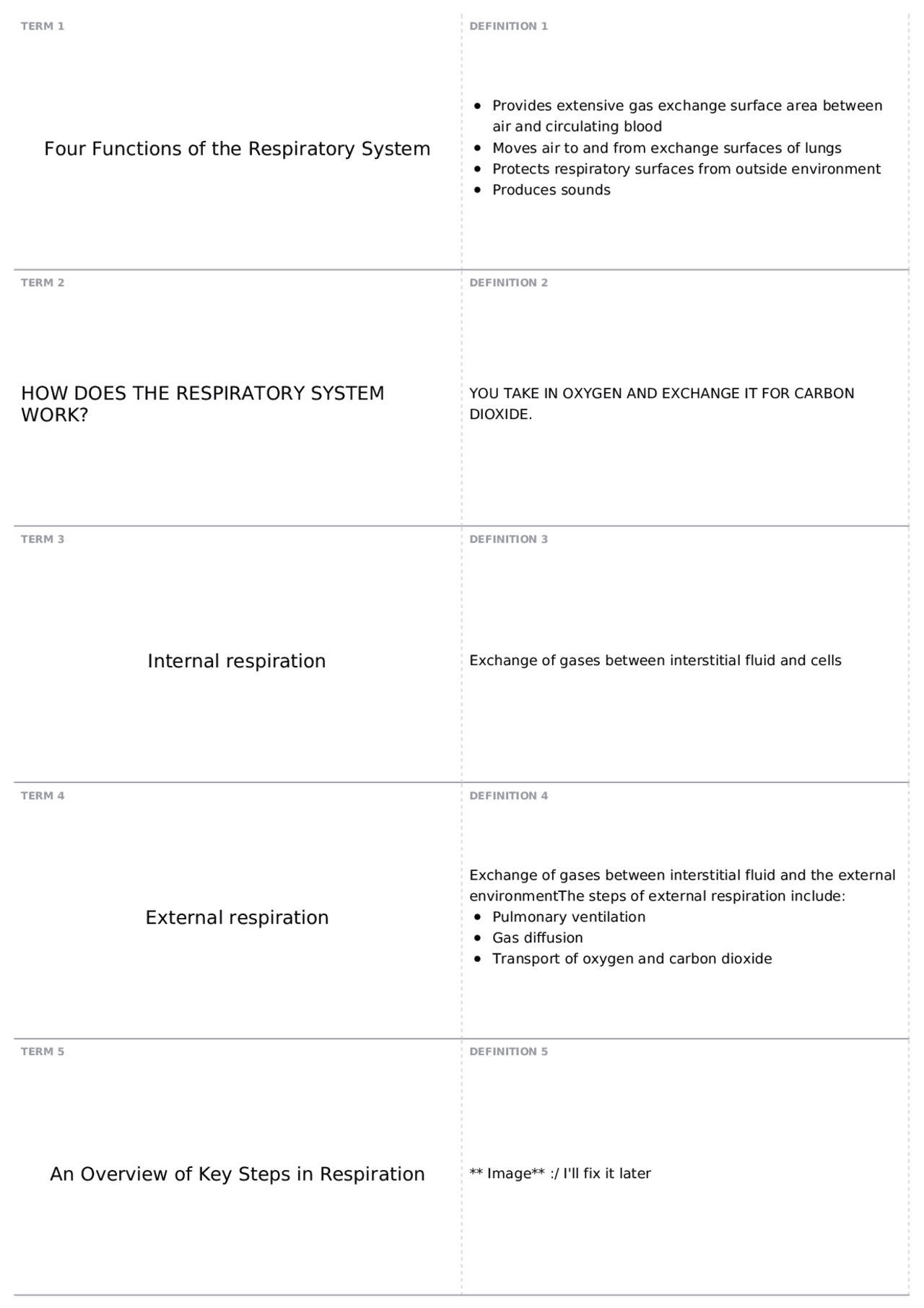 Chapter 23 - Respiratory System | BYS 313 - ANATOMY & PHYSIOLOGY I ...