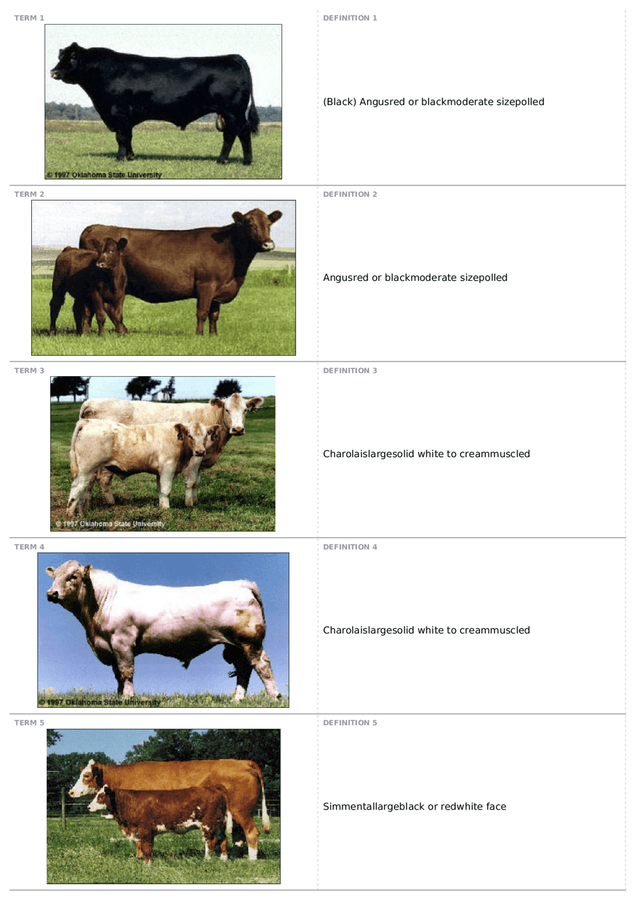 Beef Cattle Breeds | ADSC 2010 - Introductory Animal and Dairy Science ...