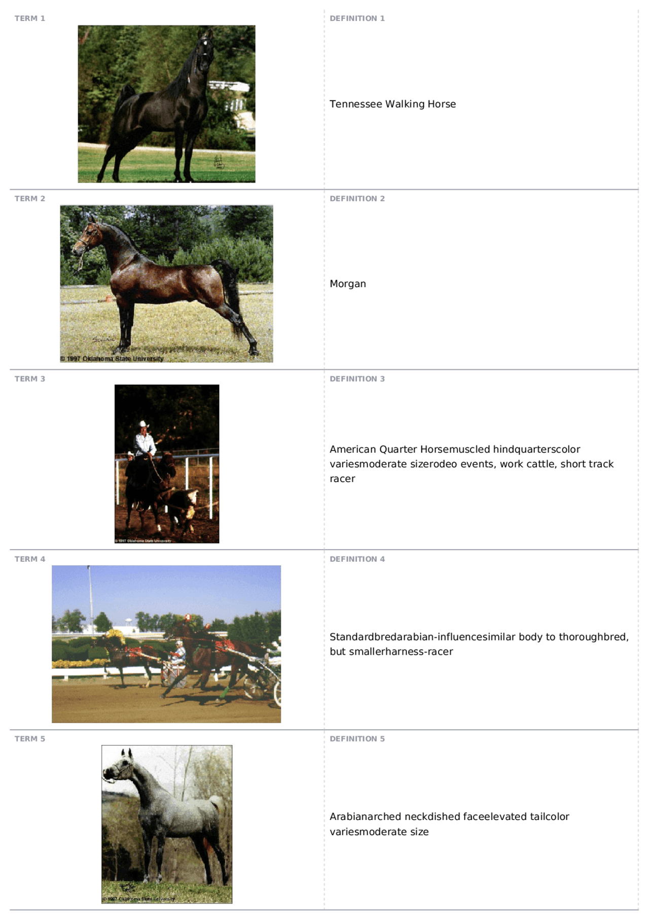 Horse Breeds | ADSC 2010 - Introductory Animal and Dairy Science - Docsity