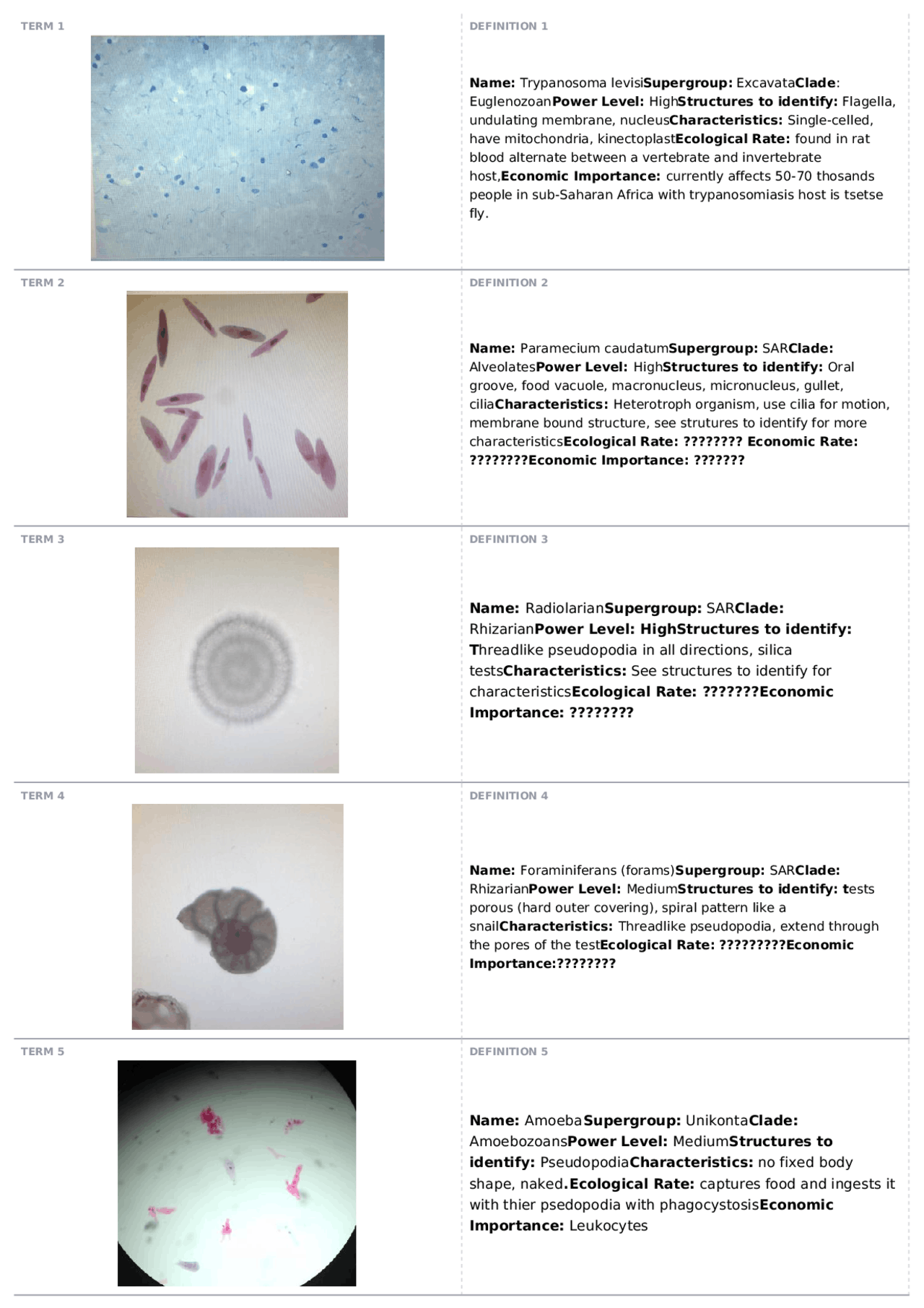 Bio 11B Lab 13 | BIOL - Biology 2 - Intermediate - Docsity