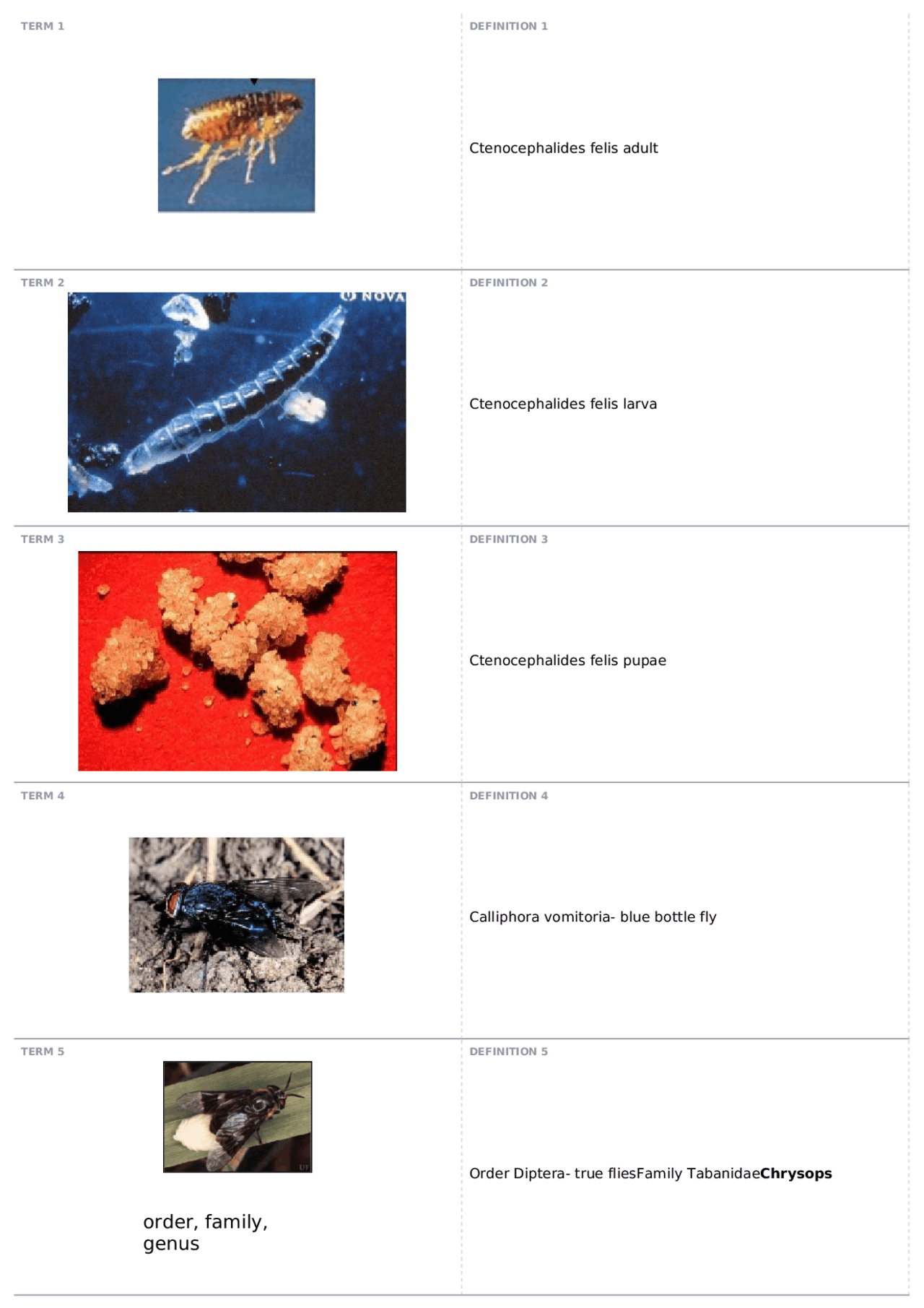 Exam 3 Add-Ons | CPB 85202 - Veterinary Parasitology II - Docsity