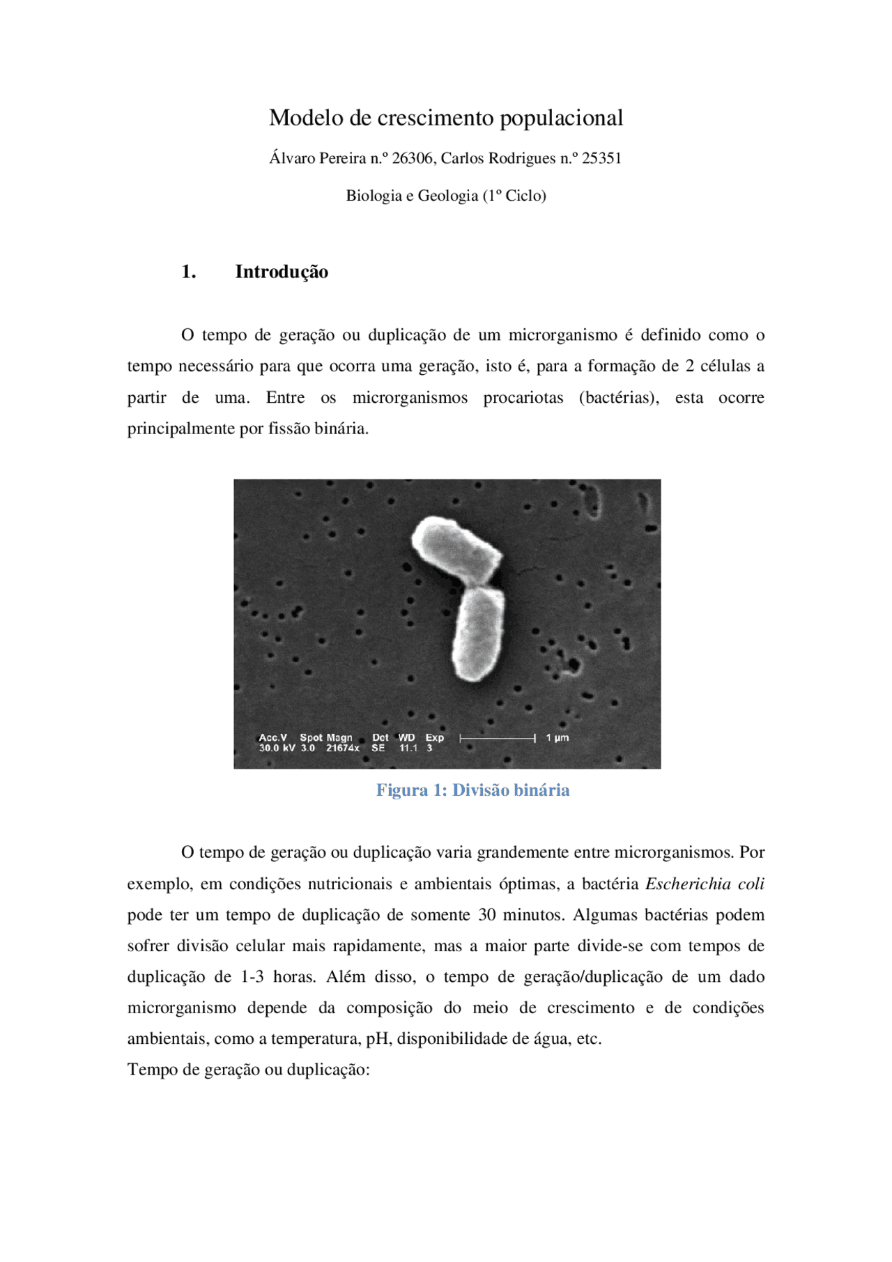 Modelo de crescimento populacional - Modelo de crescimento populacional ...