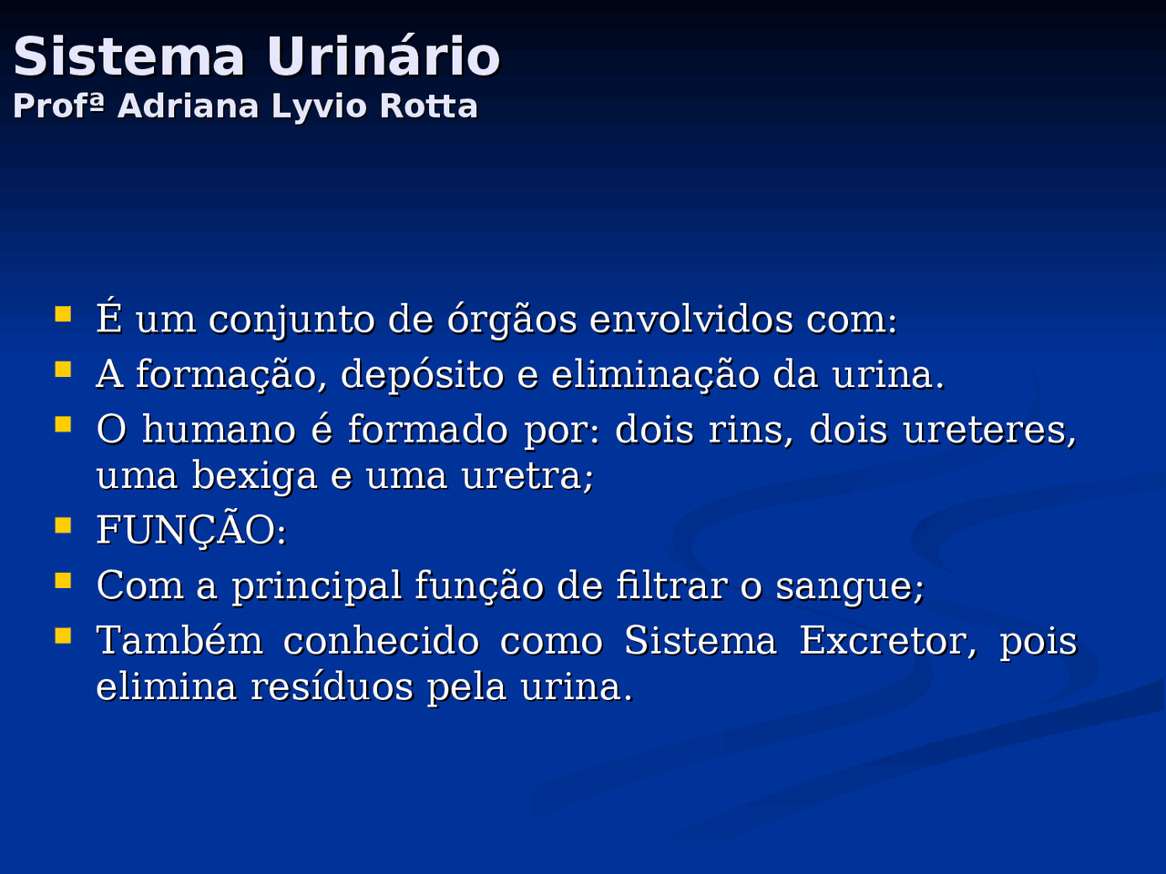 Sistema Urinário Sistema Urinário Docsity
