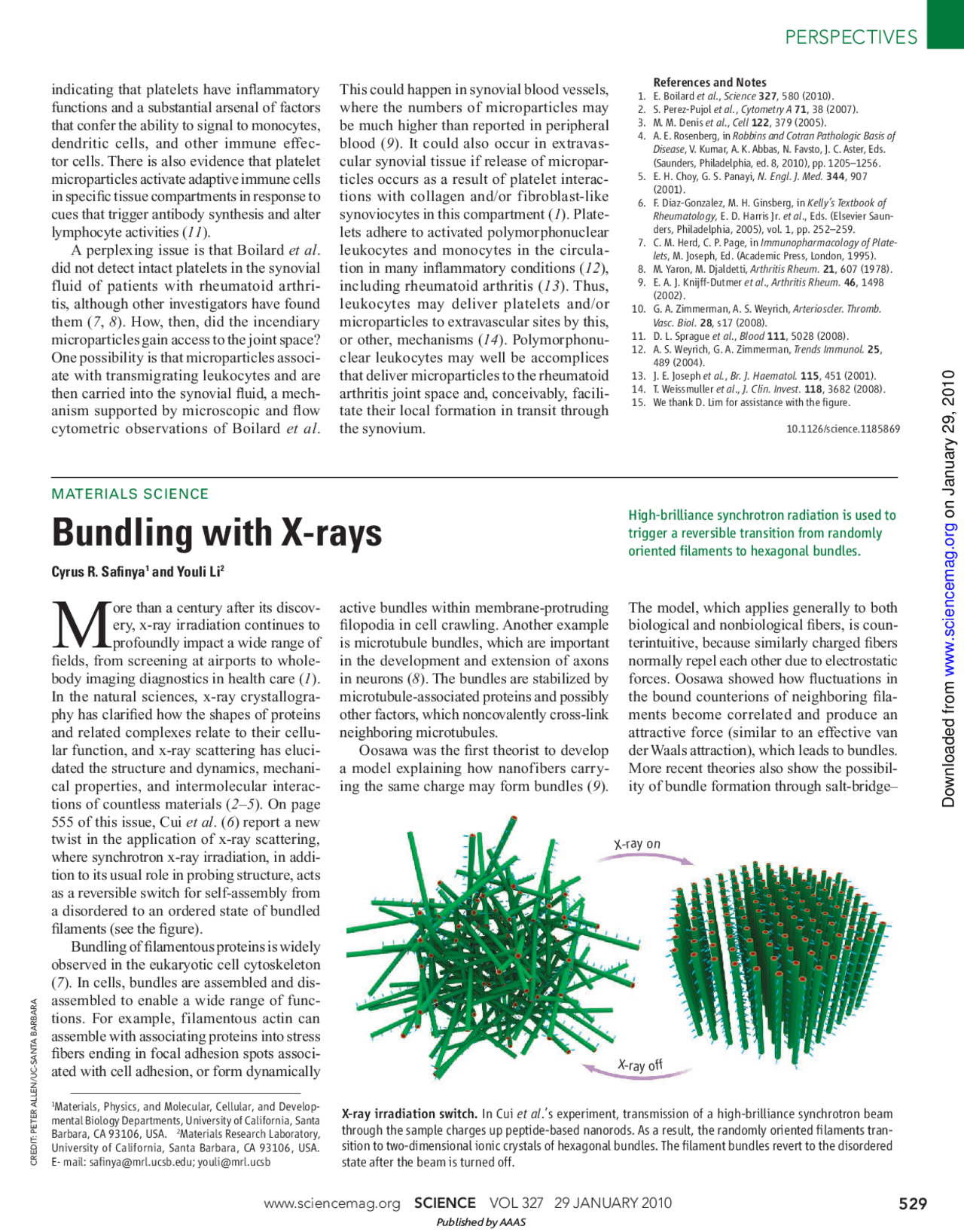 Bundling With X Rays Bundling With X Rays Docsity