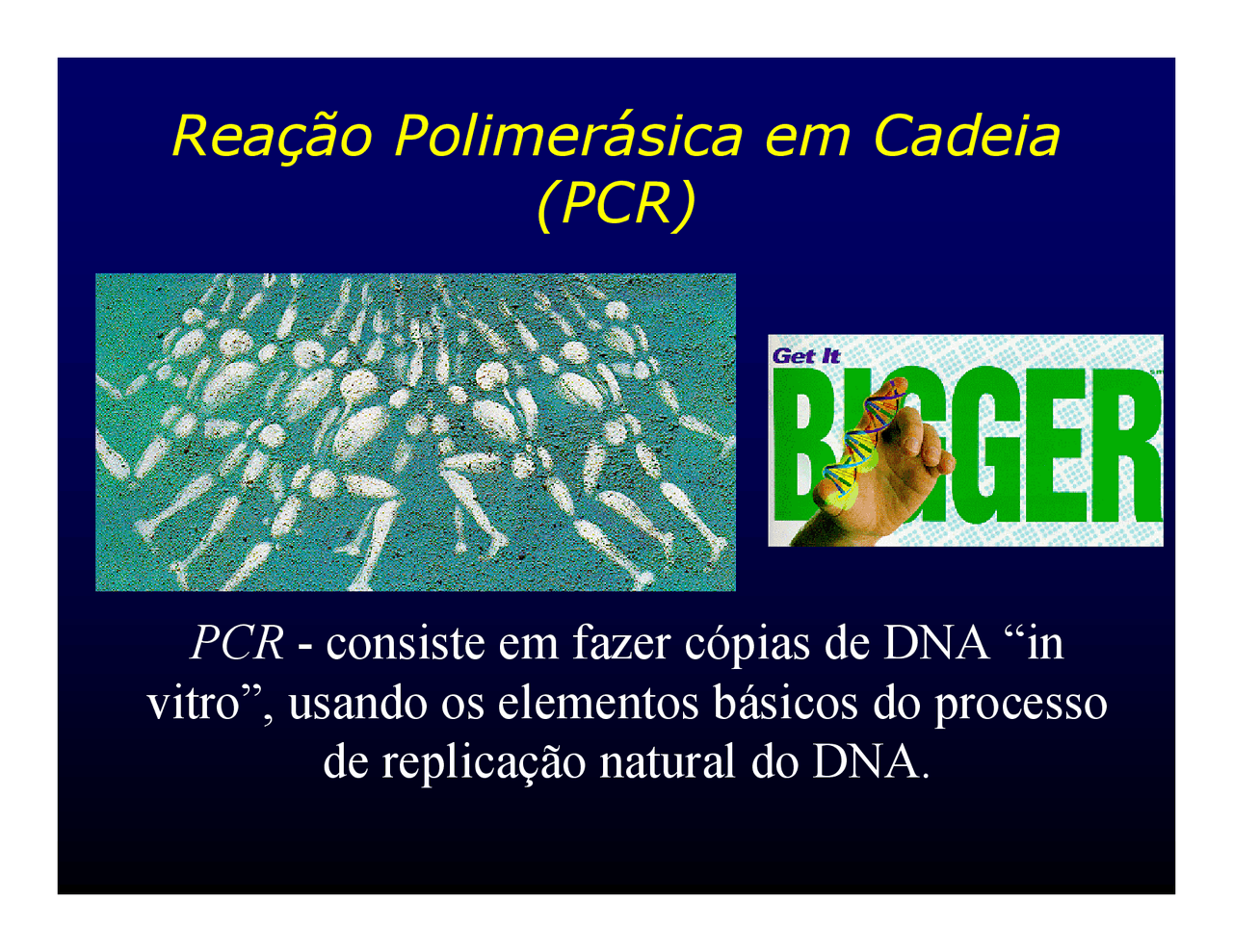 PCR - biologia molecular - PCR - biologia molecular - Docsity