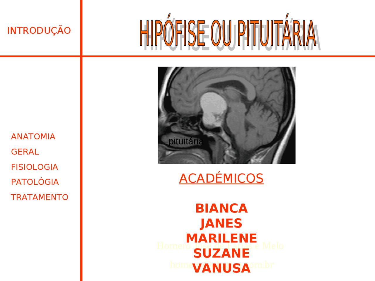 Anatomia - APRESENTAÇÃO SOBRE HIPOFISE - Docsity