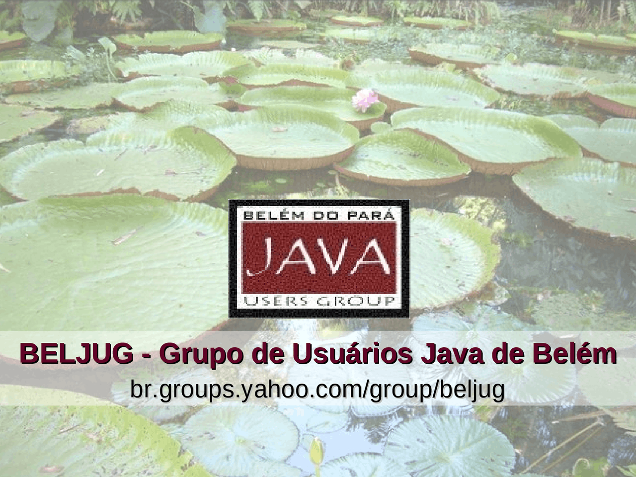 O caminho das pedras para conseguir a SCJP 6 - Palestra sobre a SCJP 6: Por que - Docsity