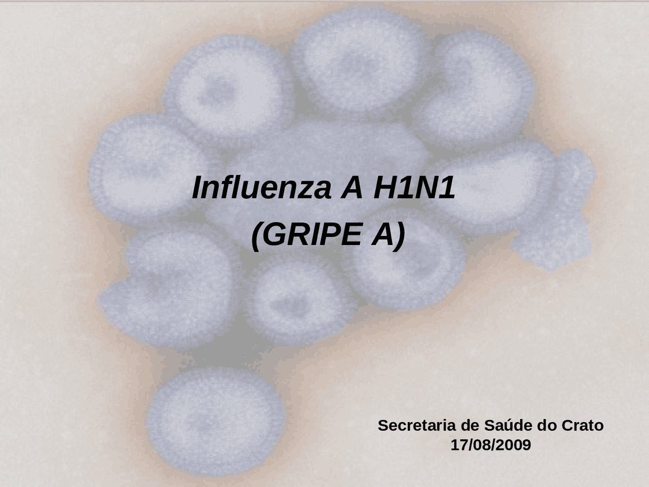 Influenza A H1N1: como tudo começou - Influenza A, como tudo começou ...