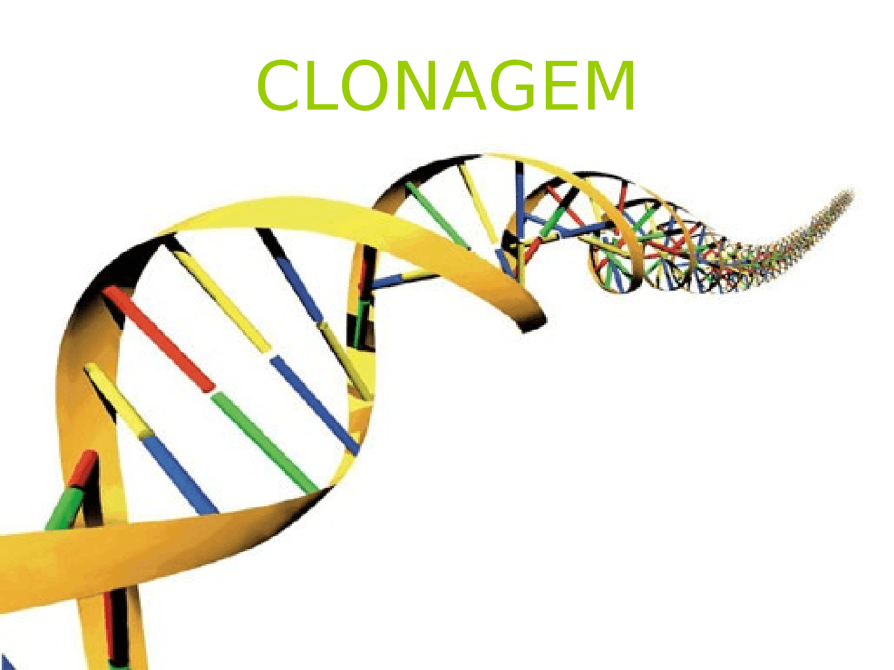 CLONAGEMPra que serve a clonagem?TIPOS DE CLONAGEM - Apresentação de ...