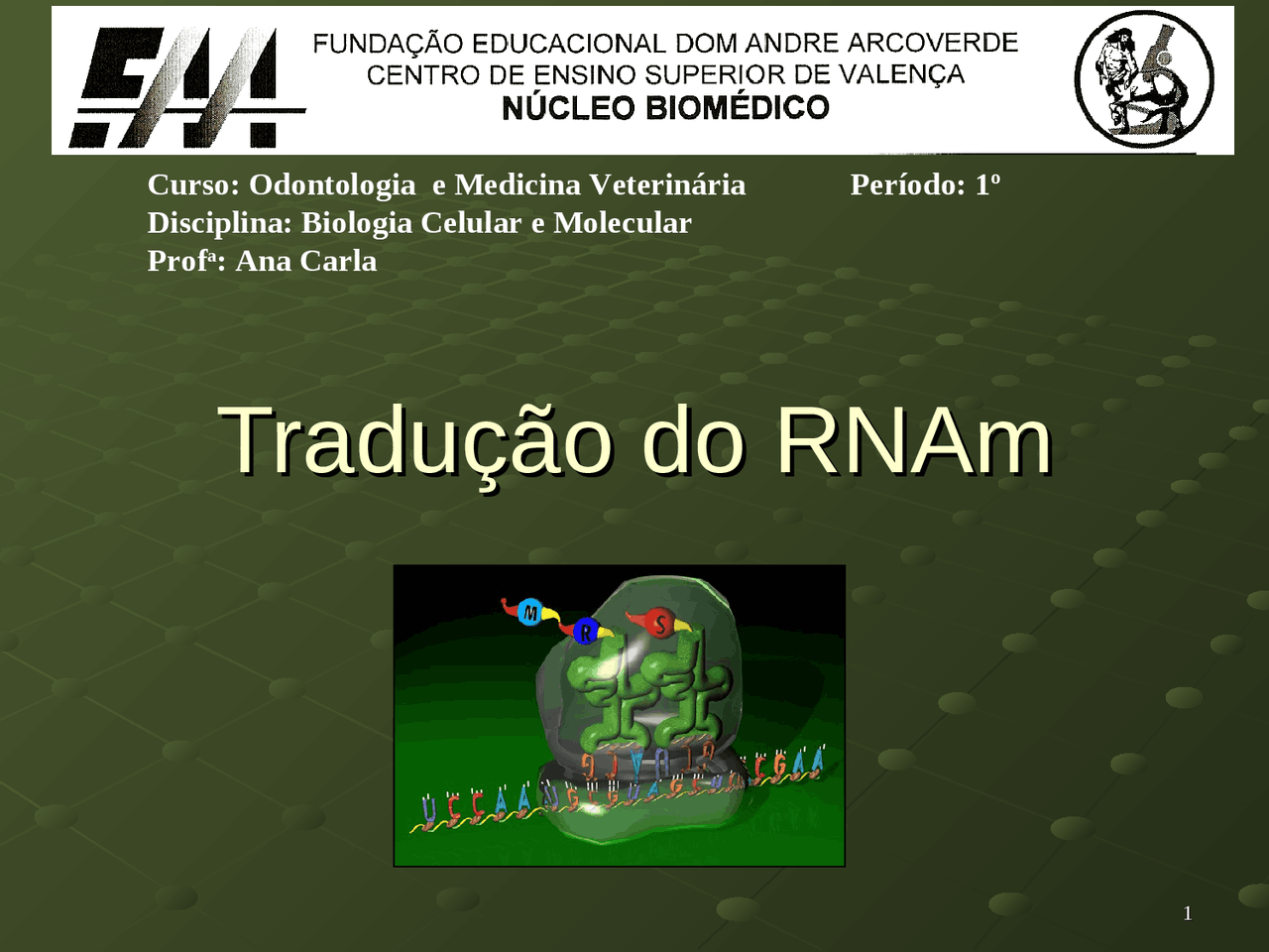 Tradução do RNAm - Tradução do RNAm - Docsity