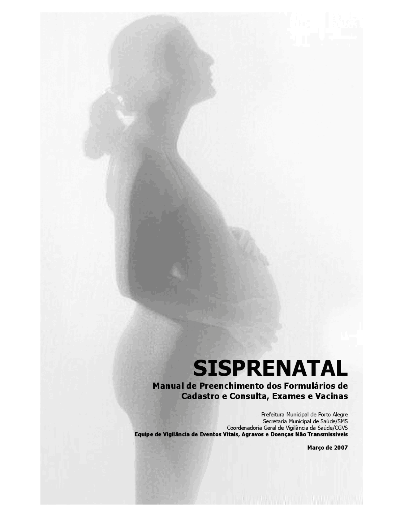 Sispre-natal Manual - Manual do Sisprenatal | Docsity