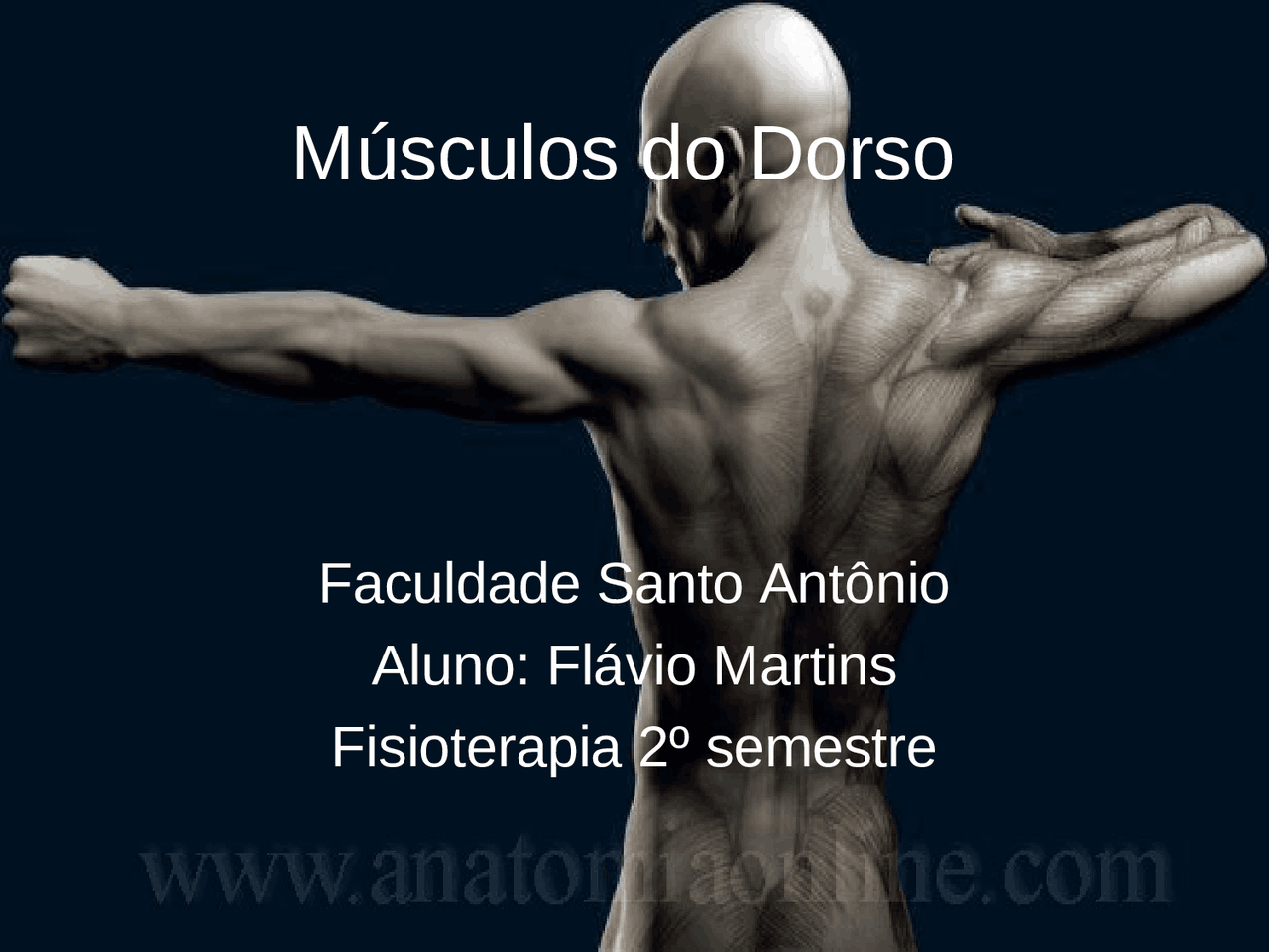 Os Músculos do dorso: anatomia para fisioterapia - Anatomia, Músculos ...