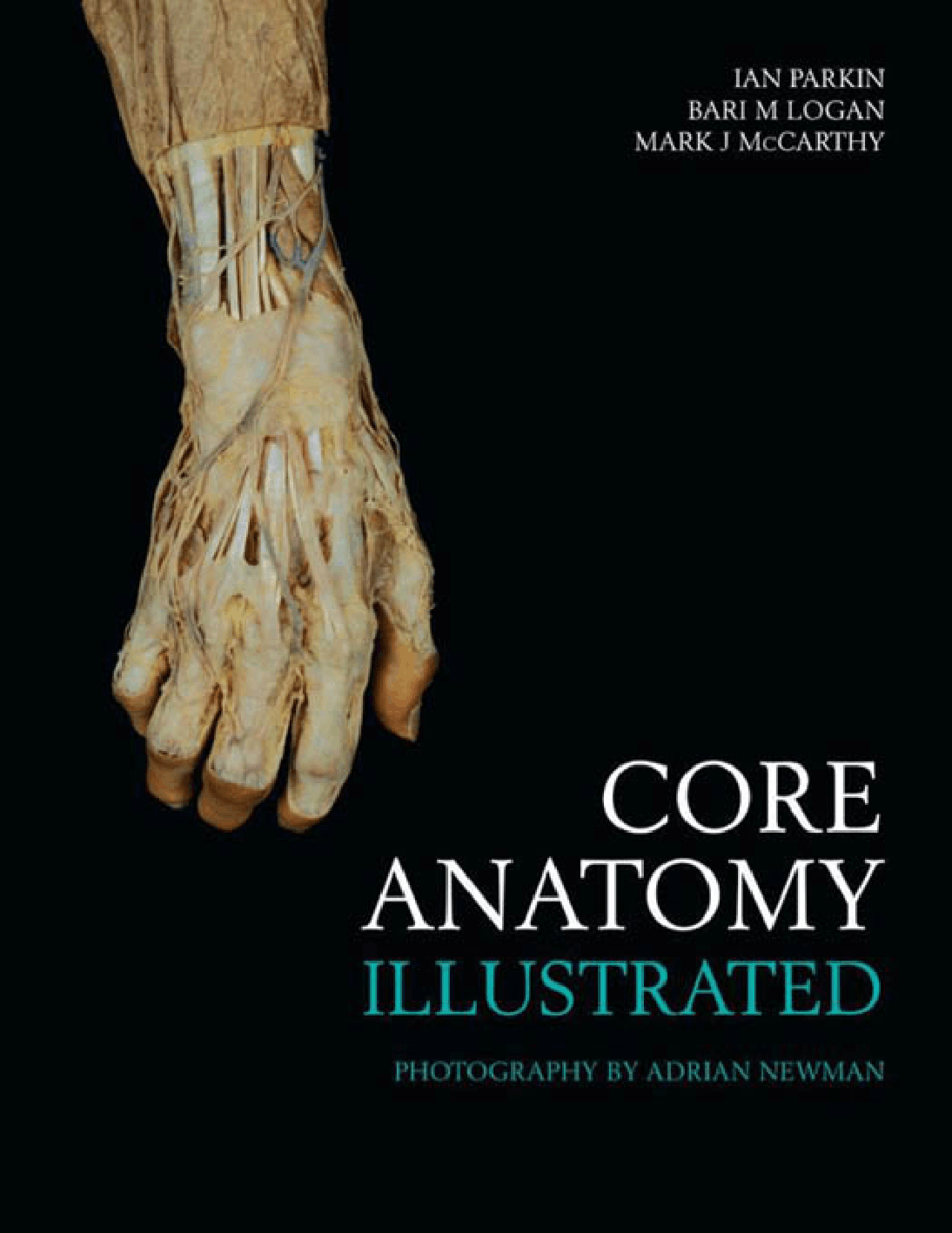 Core anatomy - CORE ANATOMY - Docsity