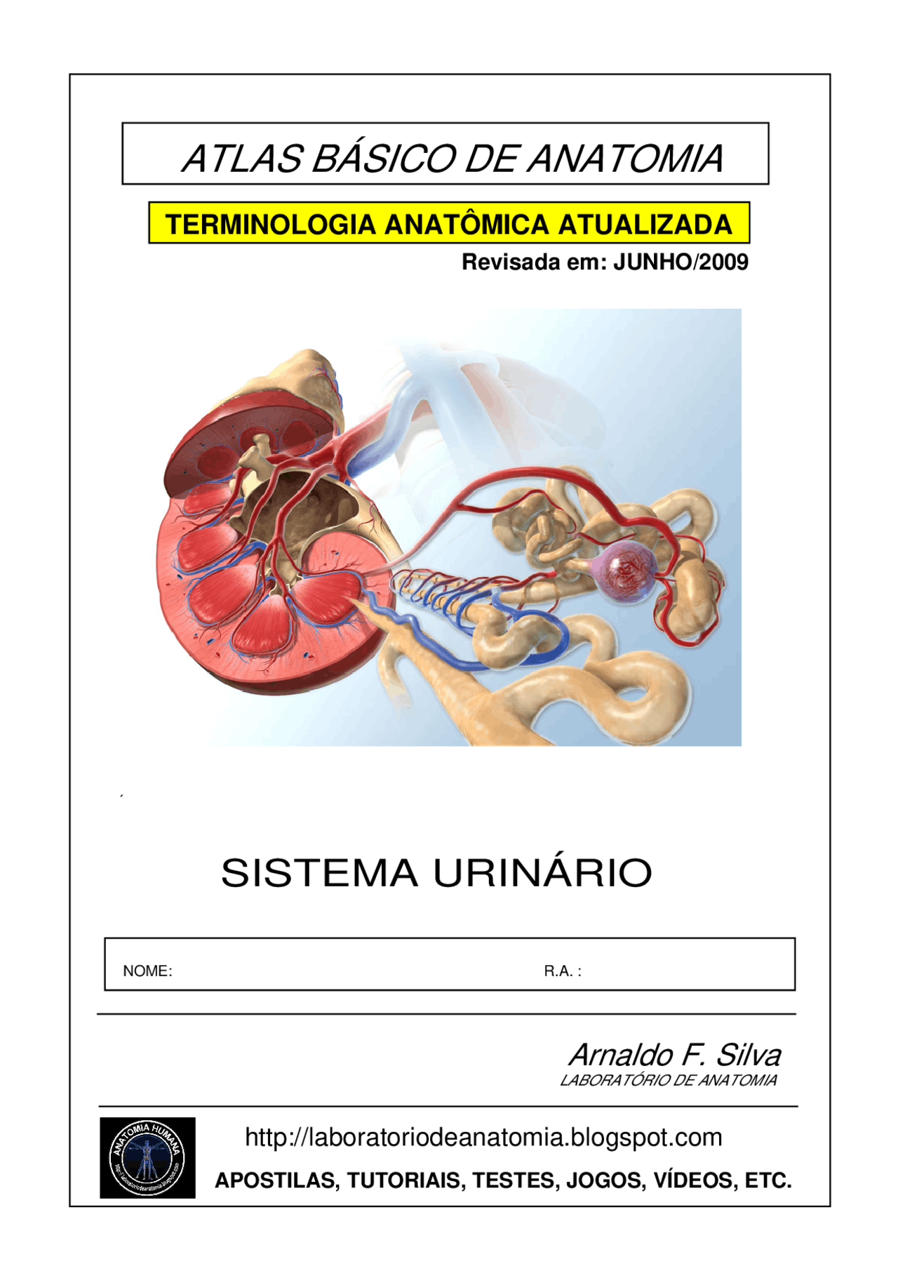 Atlas Básico Do Sistema Urinário Atlas De Anatomia Sobre Sistema