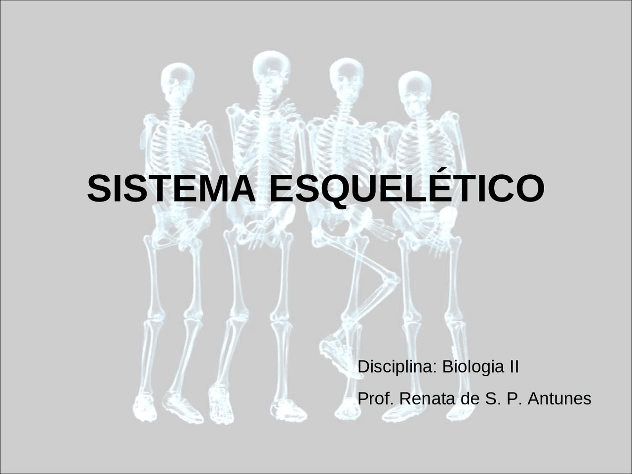 Sistema Esquelético Apresentação De Slides Sobre O Sistema