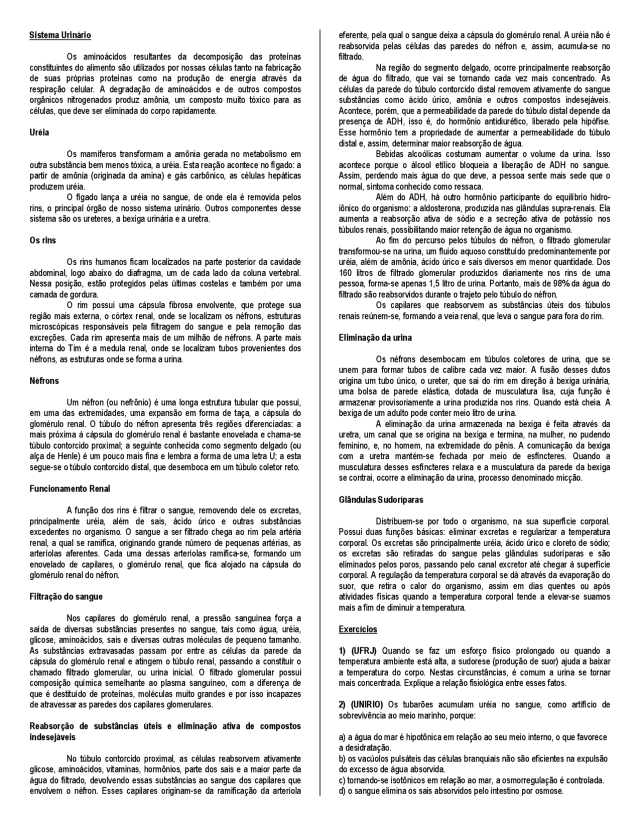 Sistema Urinário Fisiologia Do Sistema Urinário Docsity