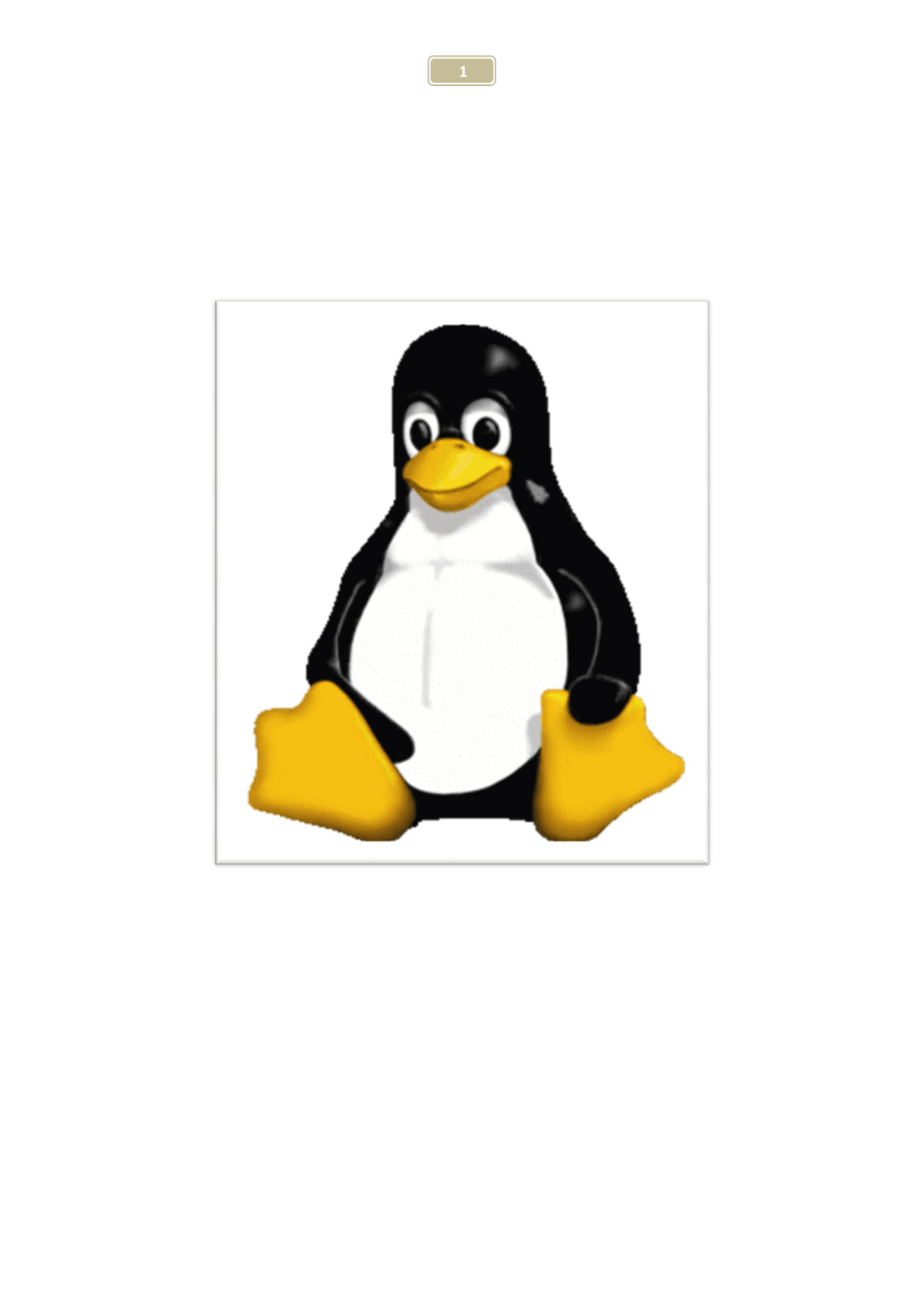 Sistema Operacional Linux 1 Sistema Operacional Linux 2 Sistema