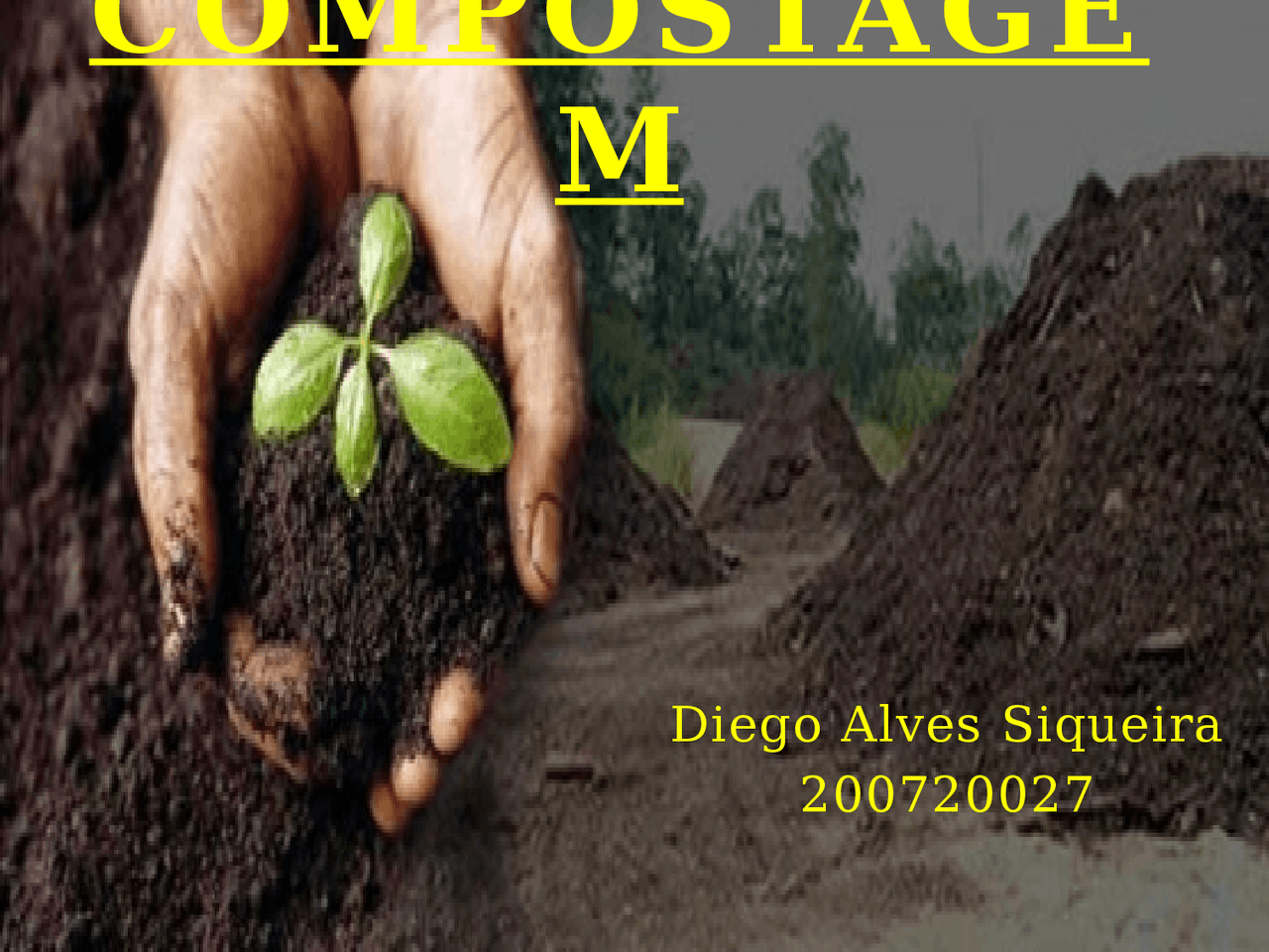 Compostagem Compostagem Docsity