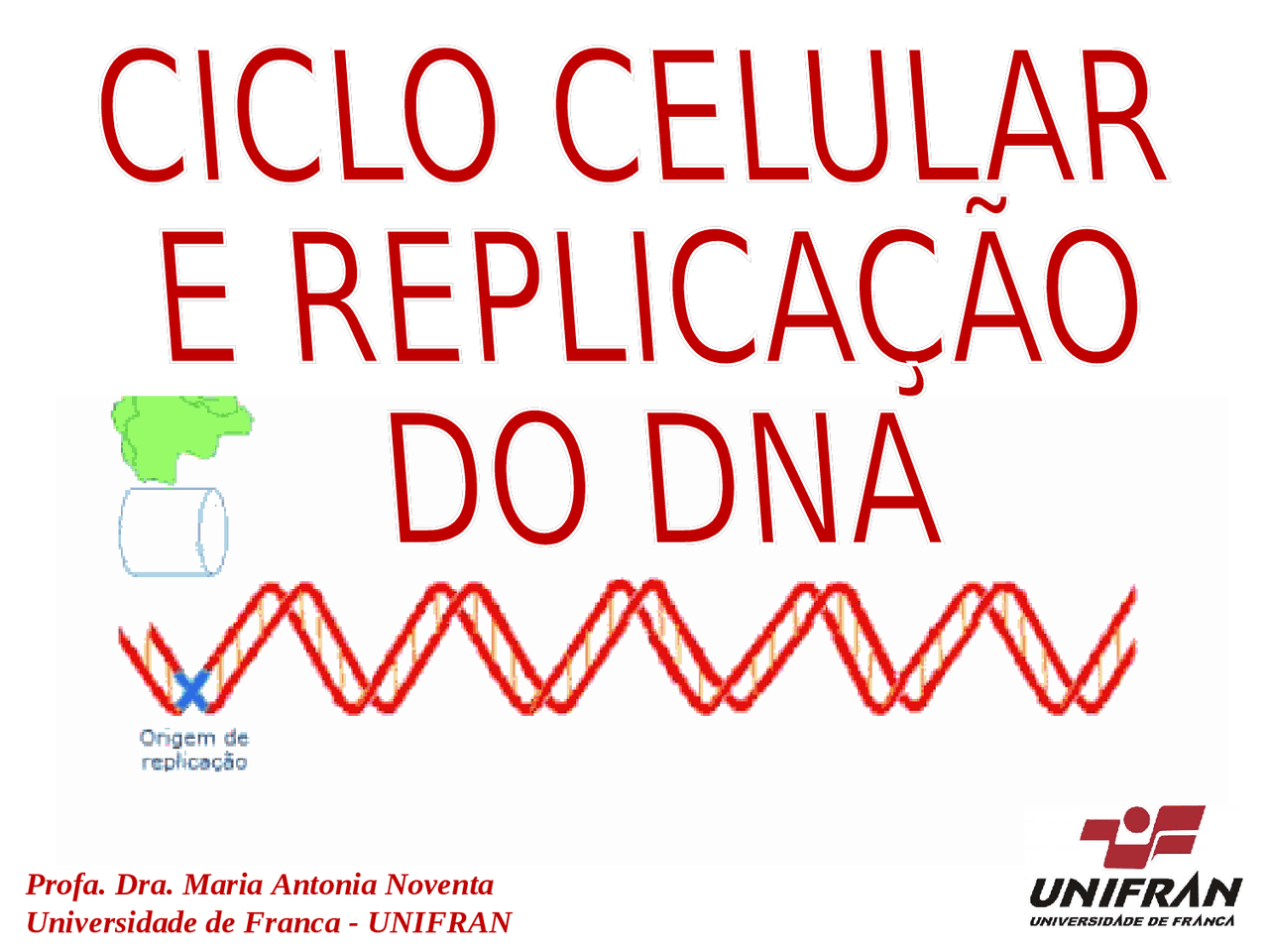 4 Ciclo Celular E Replicação Do Dna Enfermagem Aula De Genetica
