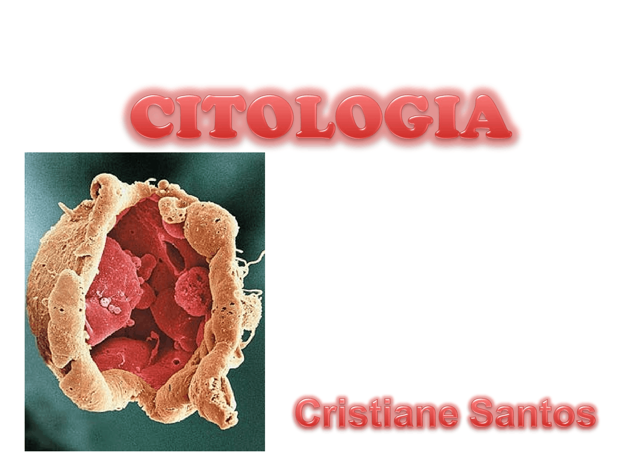 CITOLOGIA 25-04-2010 - Biologia CITOLOGIA 25-04-2010 - Docsity