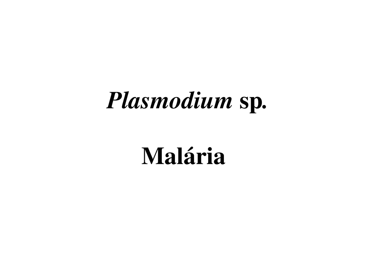 Aula 11 - Plasmodium sp e Malária - Aula sobre Plasmodium e a malária ...