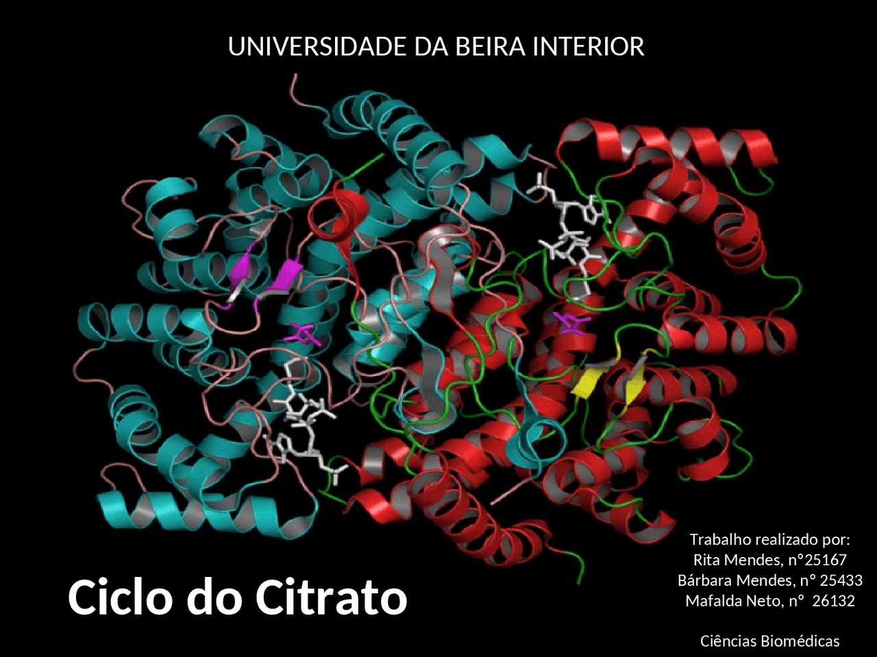 Ciclo do Citrato - Ciclo do citrato - Docsity