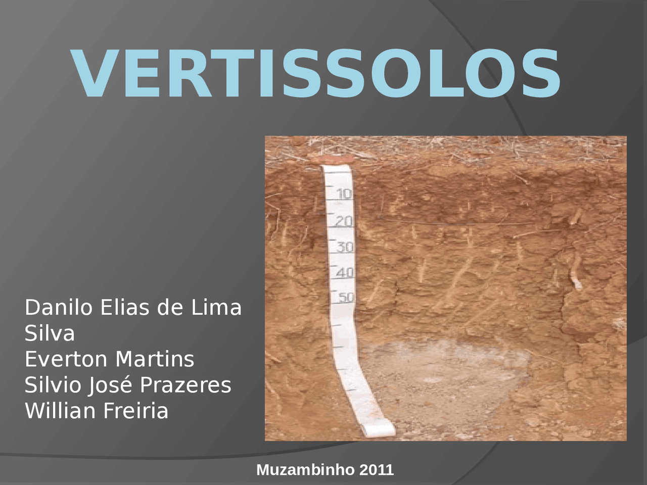 Apresentação final de solos - apresentação sobre os vertissolos - Docsity
