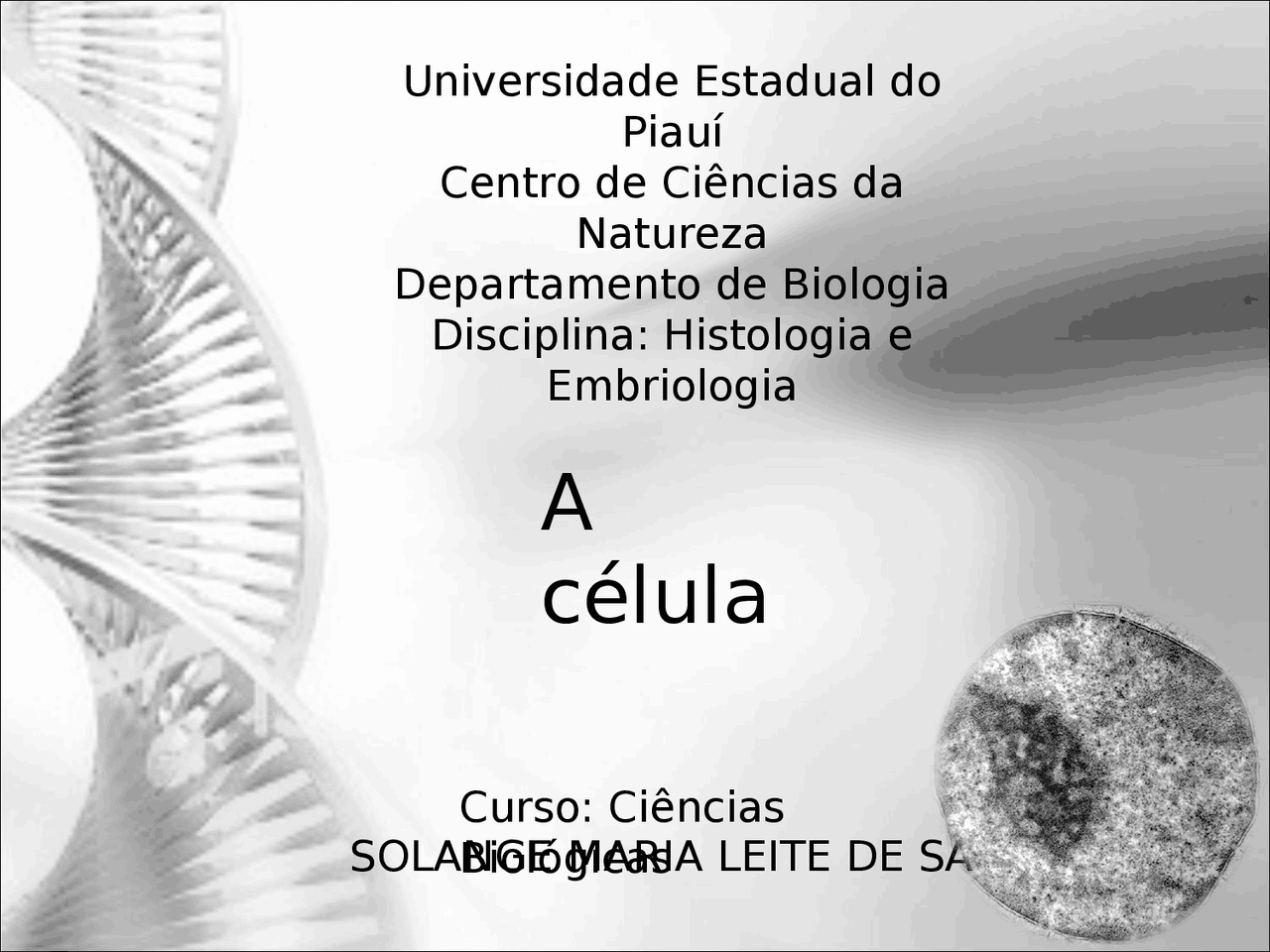 1 Aula De Bioquimica Slides Sobre A Célula Docsity