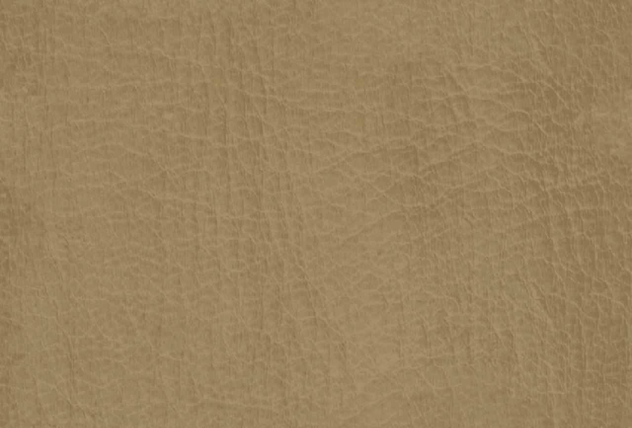 Biblioteca Corel 1 Deerskin Docsity