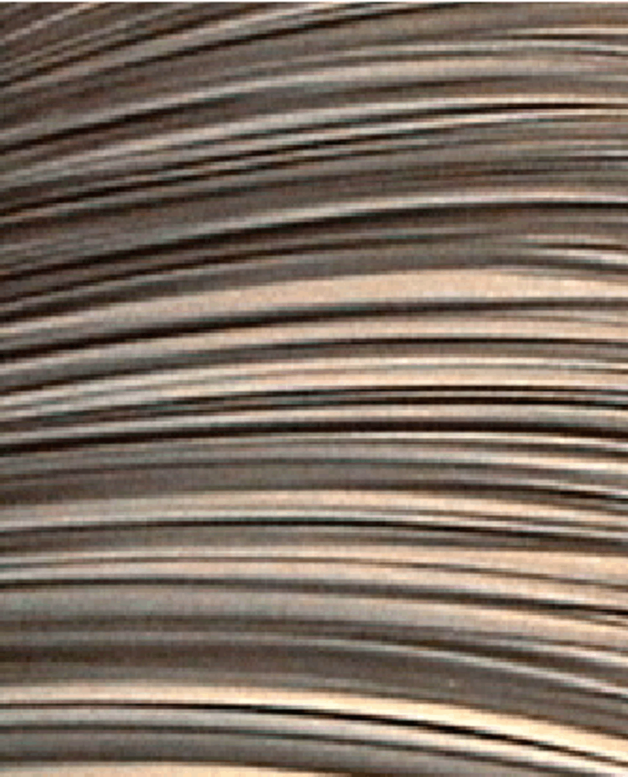 Biblioteca Corel 1 Fabric1 Docsity