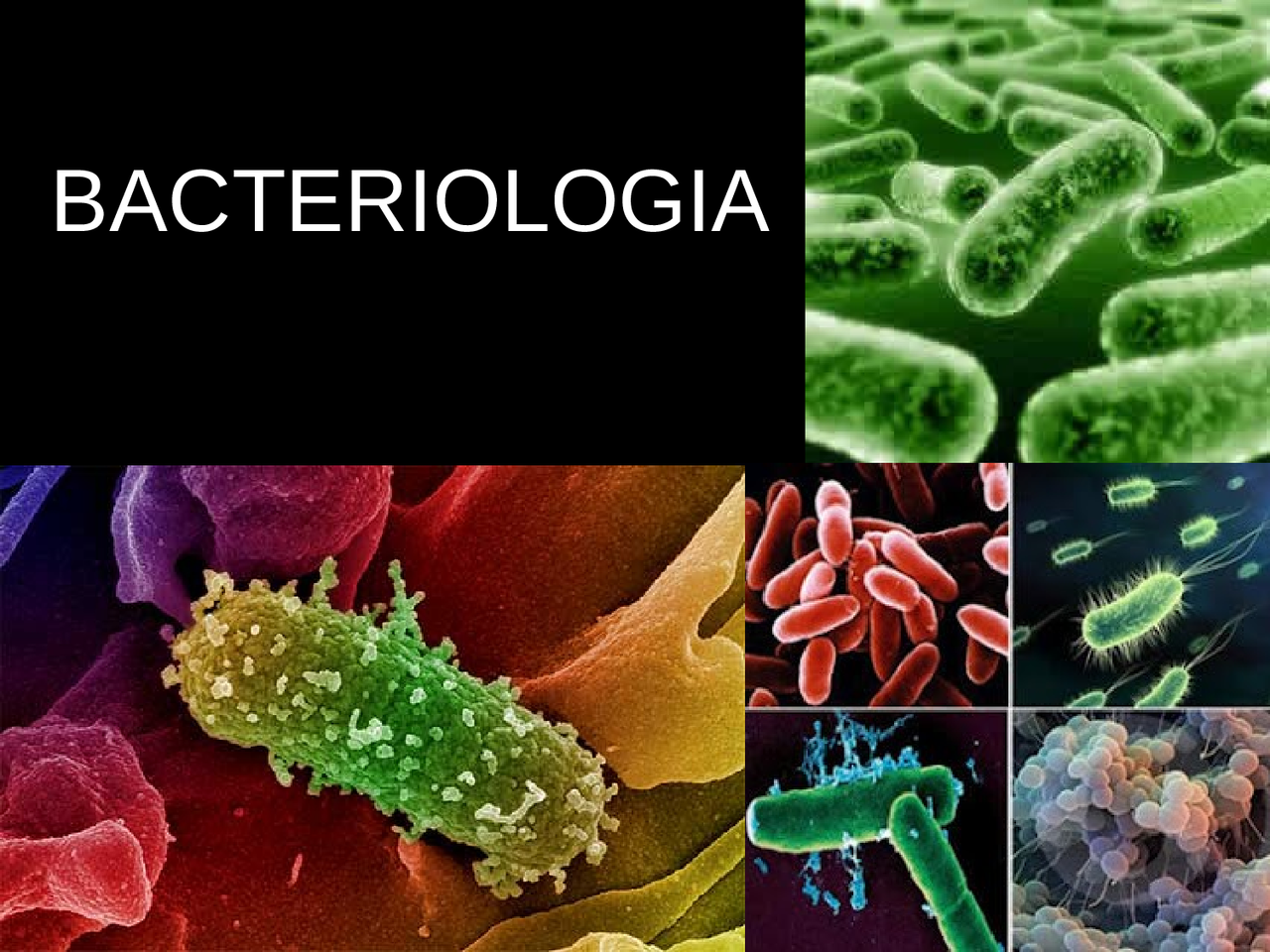 Bacteriologia - aula de microbiologia clínica, tema: bacteriologia ...