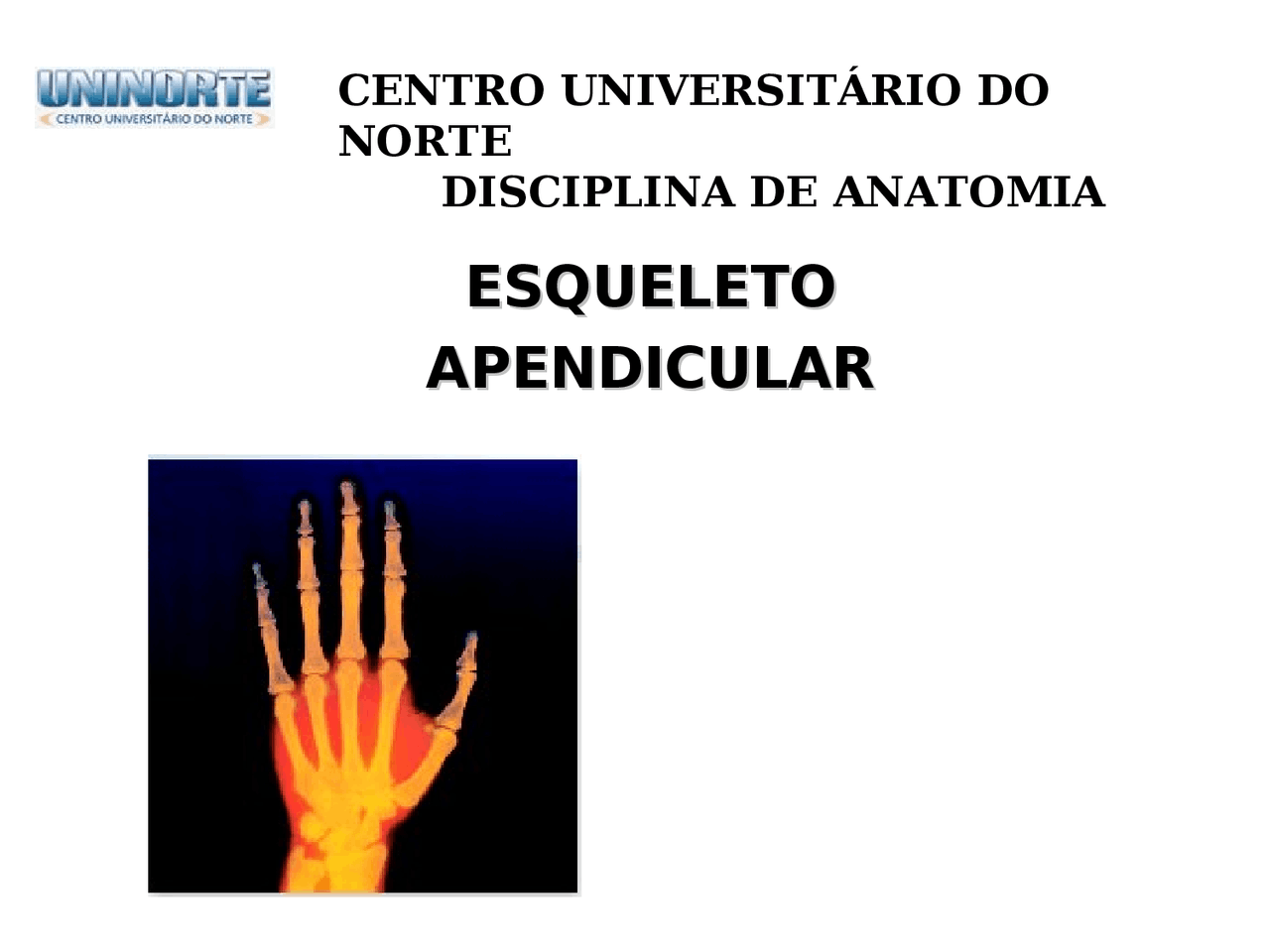 Sistema Esquelético - Esqueleto Apendicular - Estudo da Anatomia - Docsity