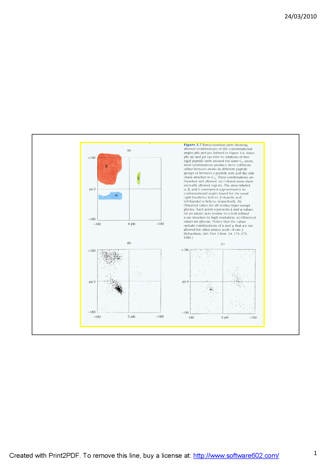 Bioquímica Básica - enovelamento de prote?nas - Bioquímica Básica - Docsity