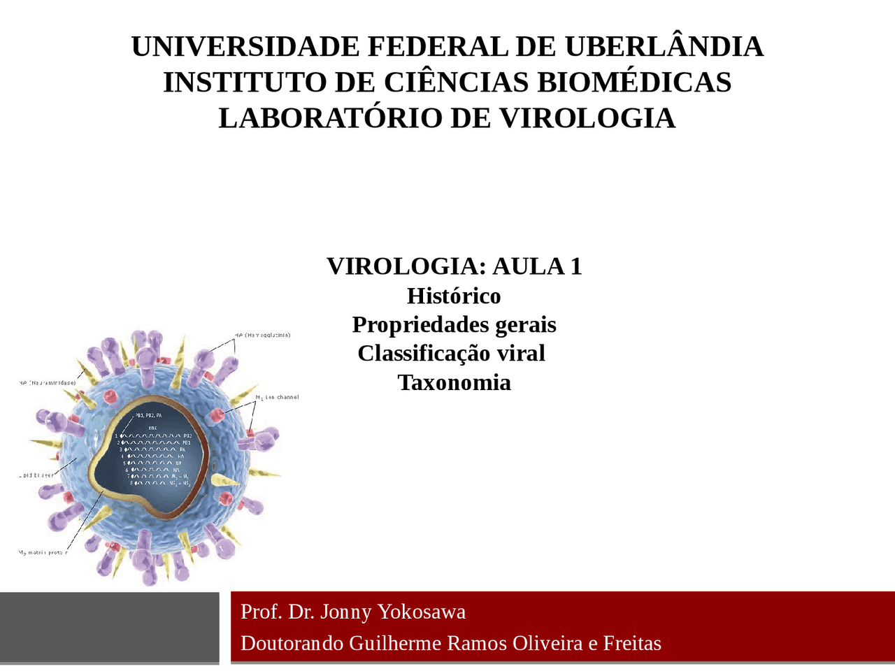 Aula 01 - Introdução a Virologia - Introdução a Virologia - Docsity