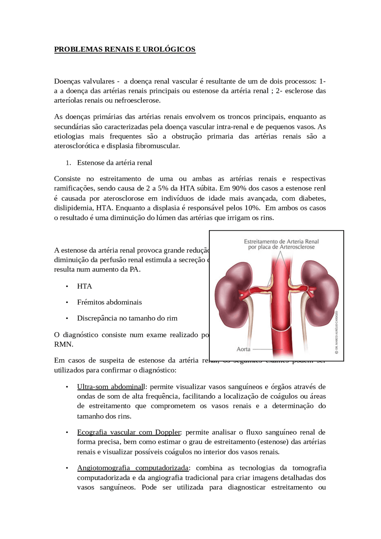 Problemas renais e urológicos - Problemas renais - Docsity