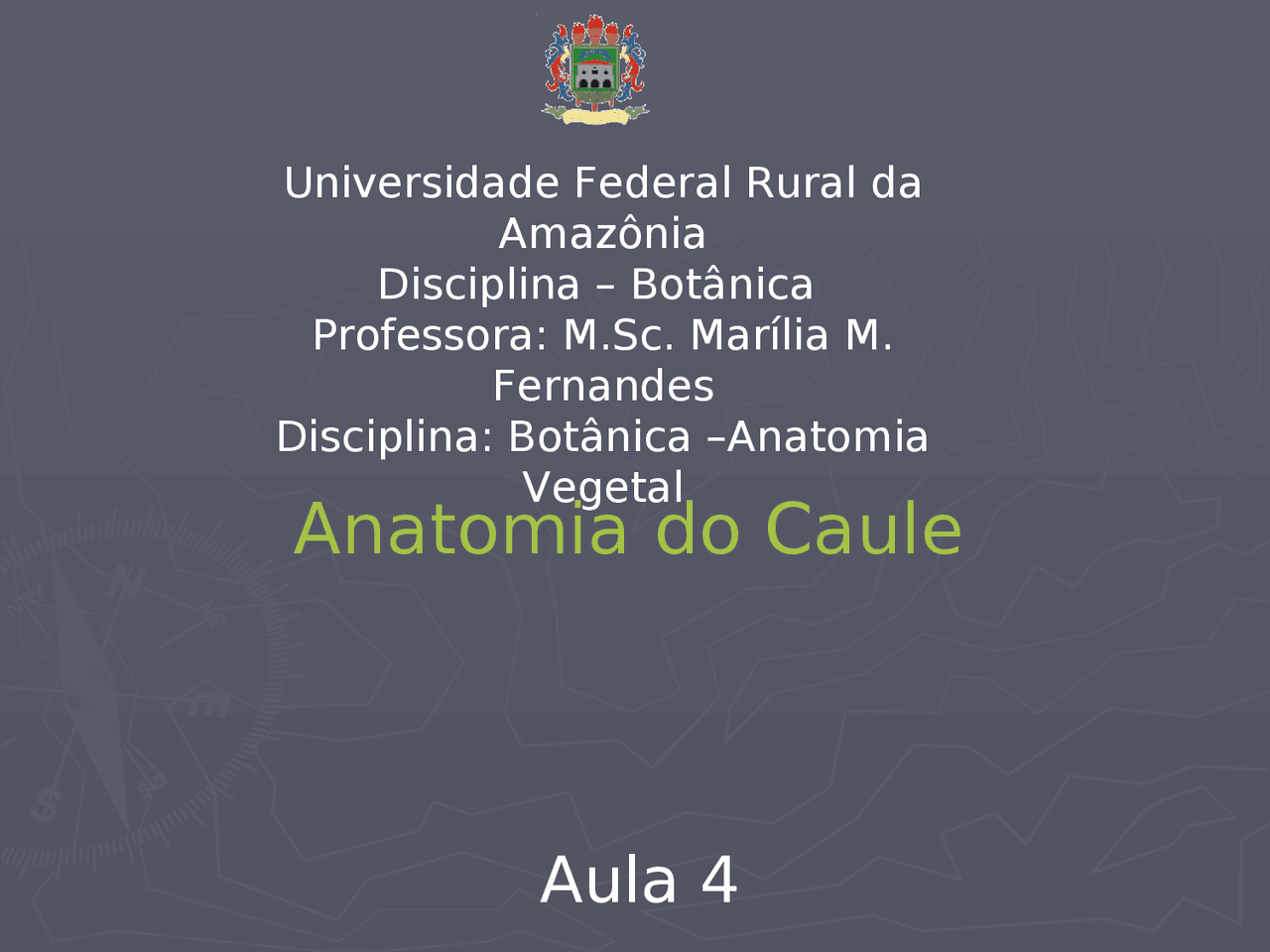 Anatomia Vegetal - Caule - Slide de Anatomia Vegetal - Caule - Docsity