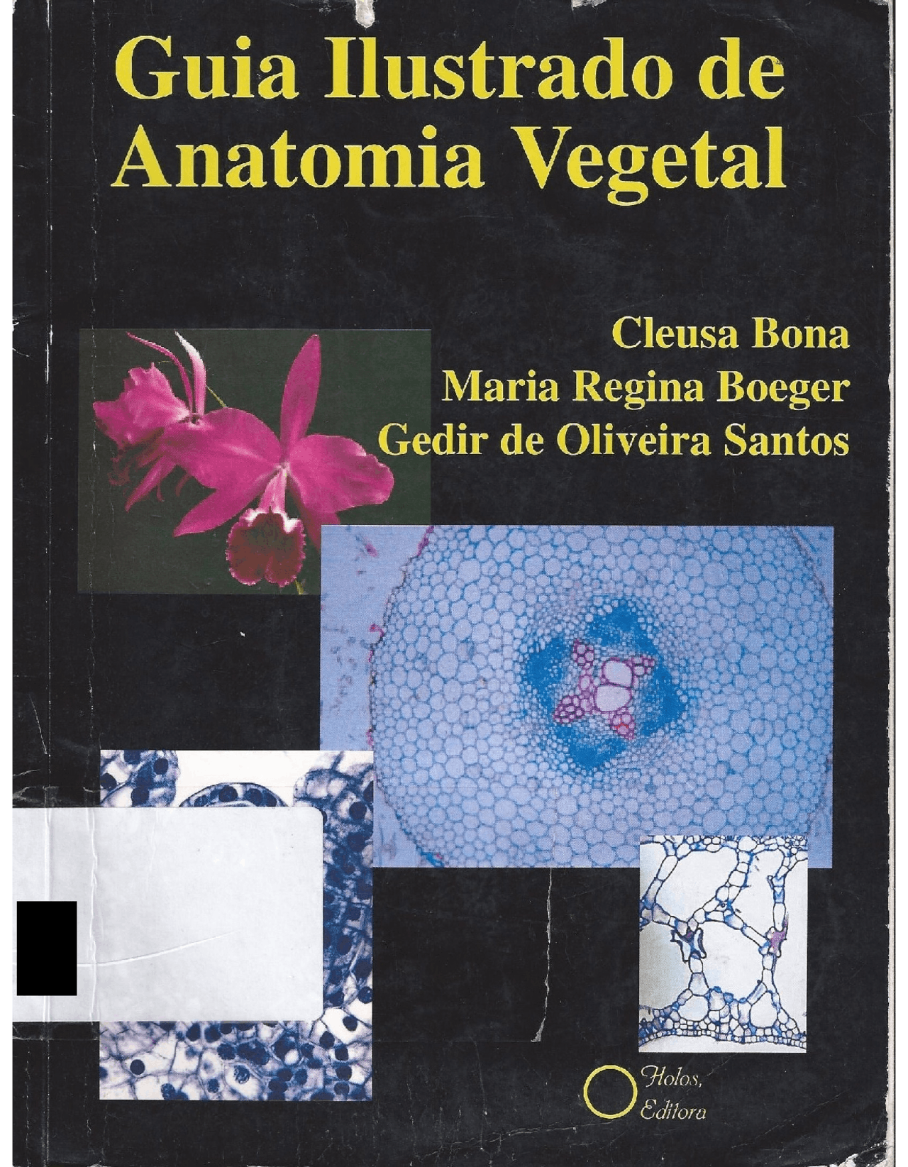 Guia Ilustrado de Anatomia Vegetal - Bona, Boeger - Escrito por ...