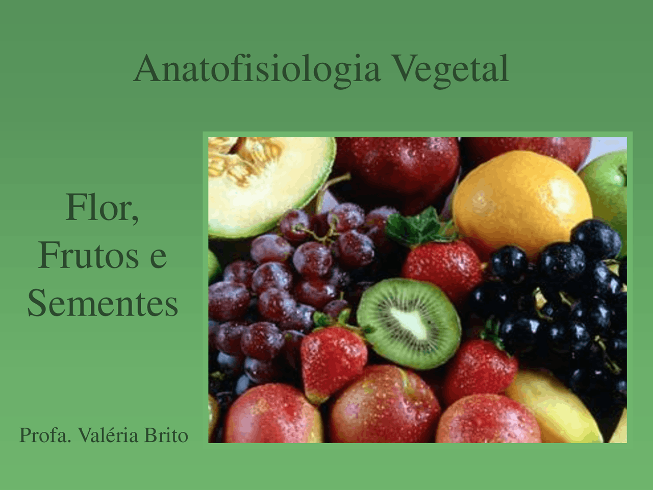 Anatofisiologia Vegetal - BIOLOGIA - Aula 3 - Anatofisiologia Vegetal ...