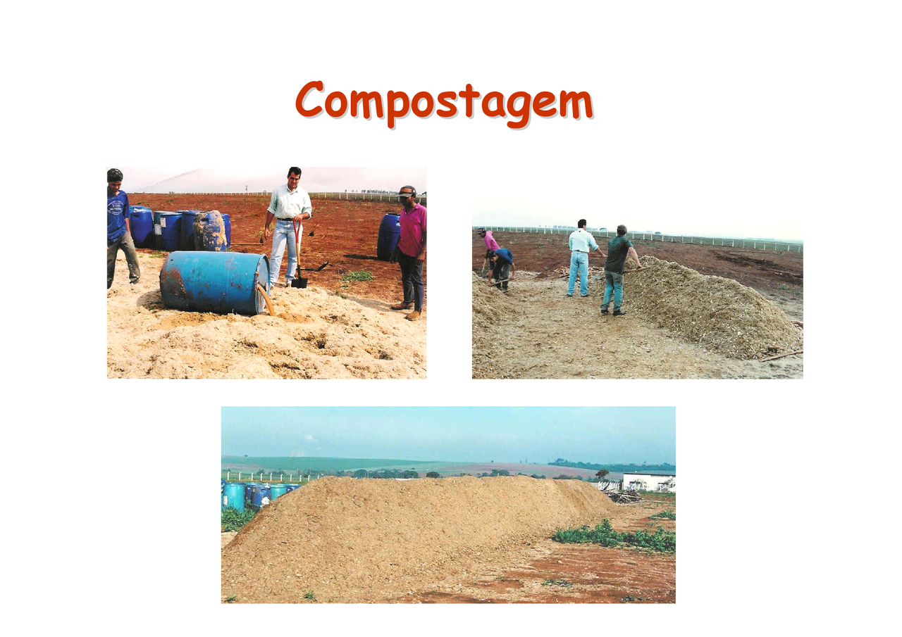 Aula Compostagem Compostagem Você Fazendo Seu Solo Docsity