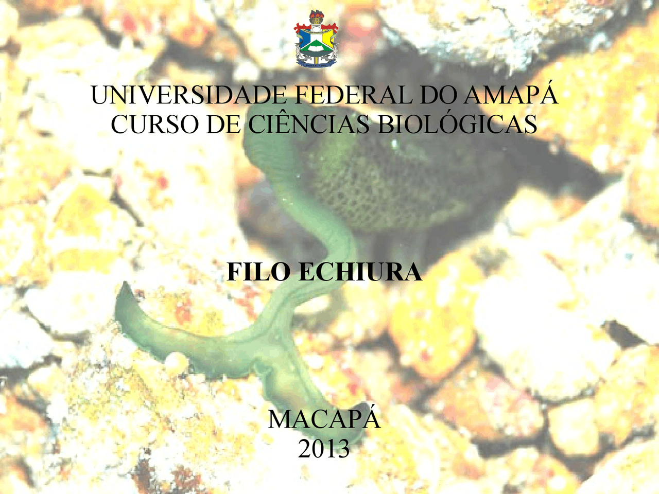 Filo echiura - Biologia Geral do Filo Echiura | Docsity