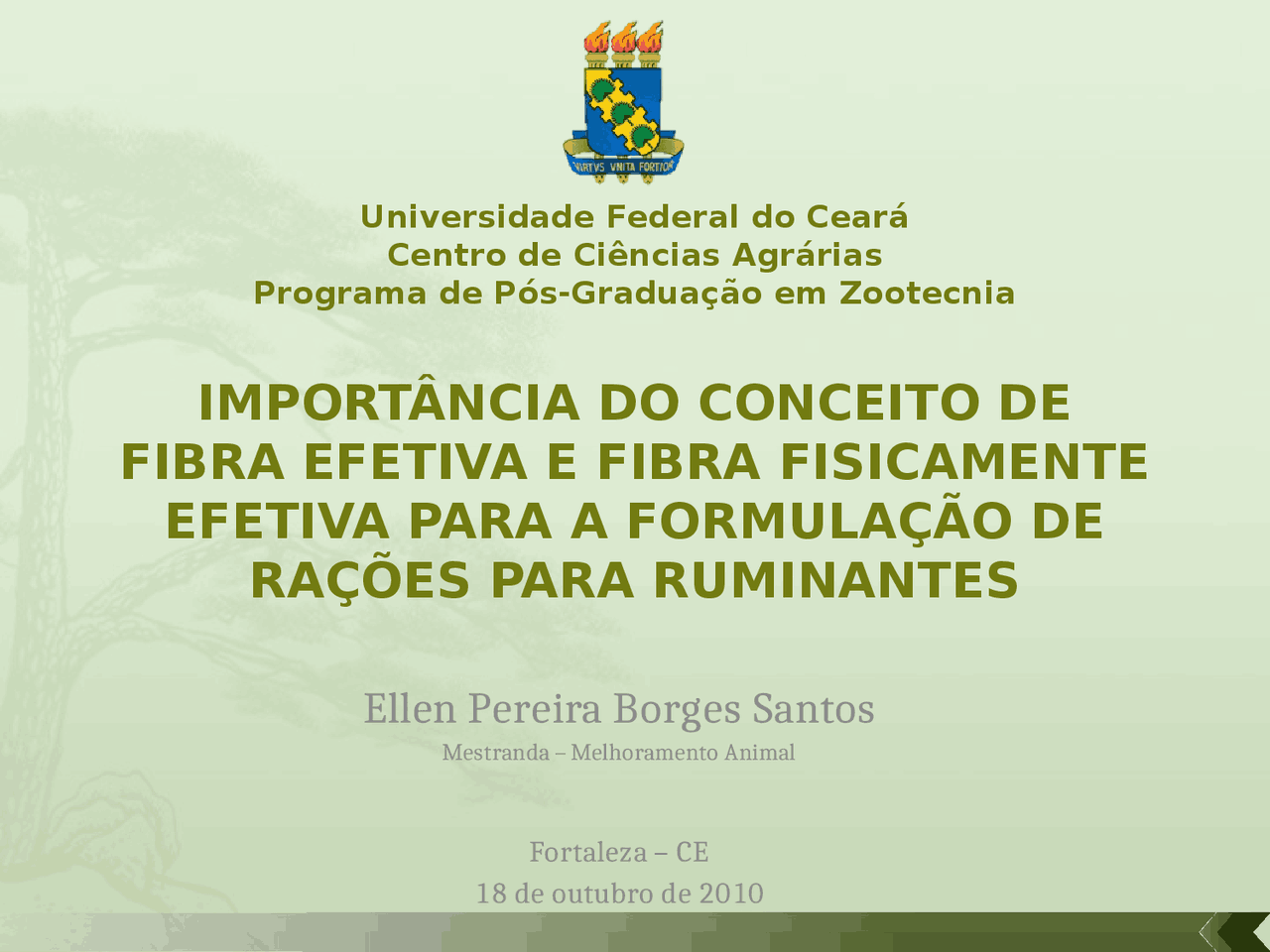 Importância do conceito de fibra efetiva e fibra - A fibra é definida ...